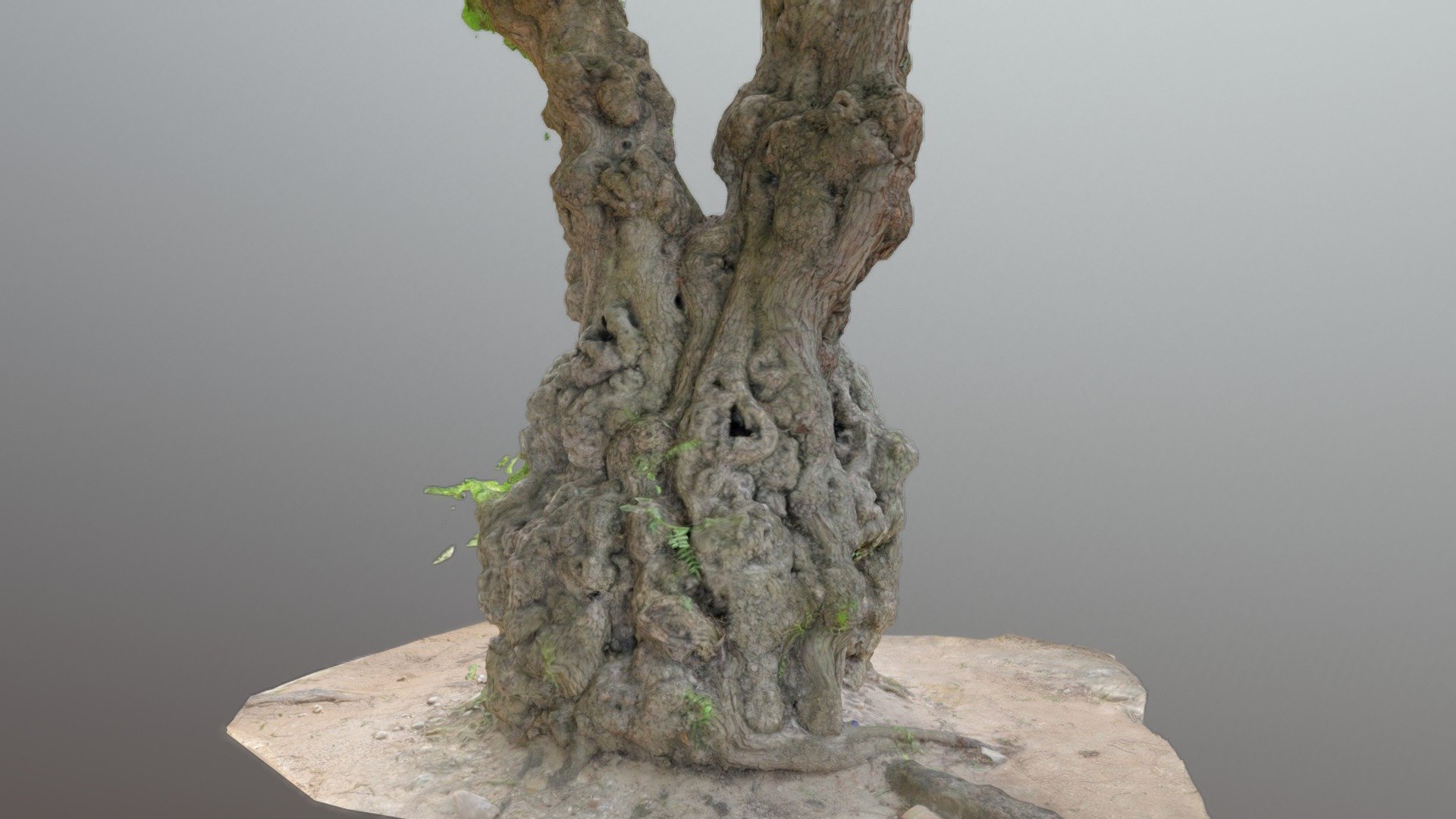 Ancient Tree - 3D model by Jonathan Young (@sketchdoc) [42e7012 ...