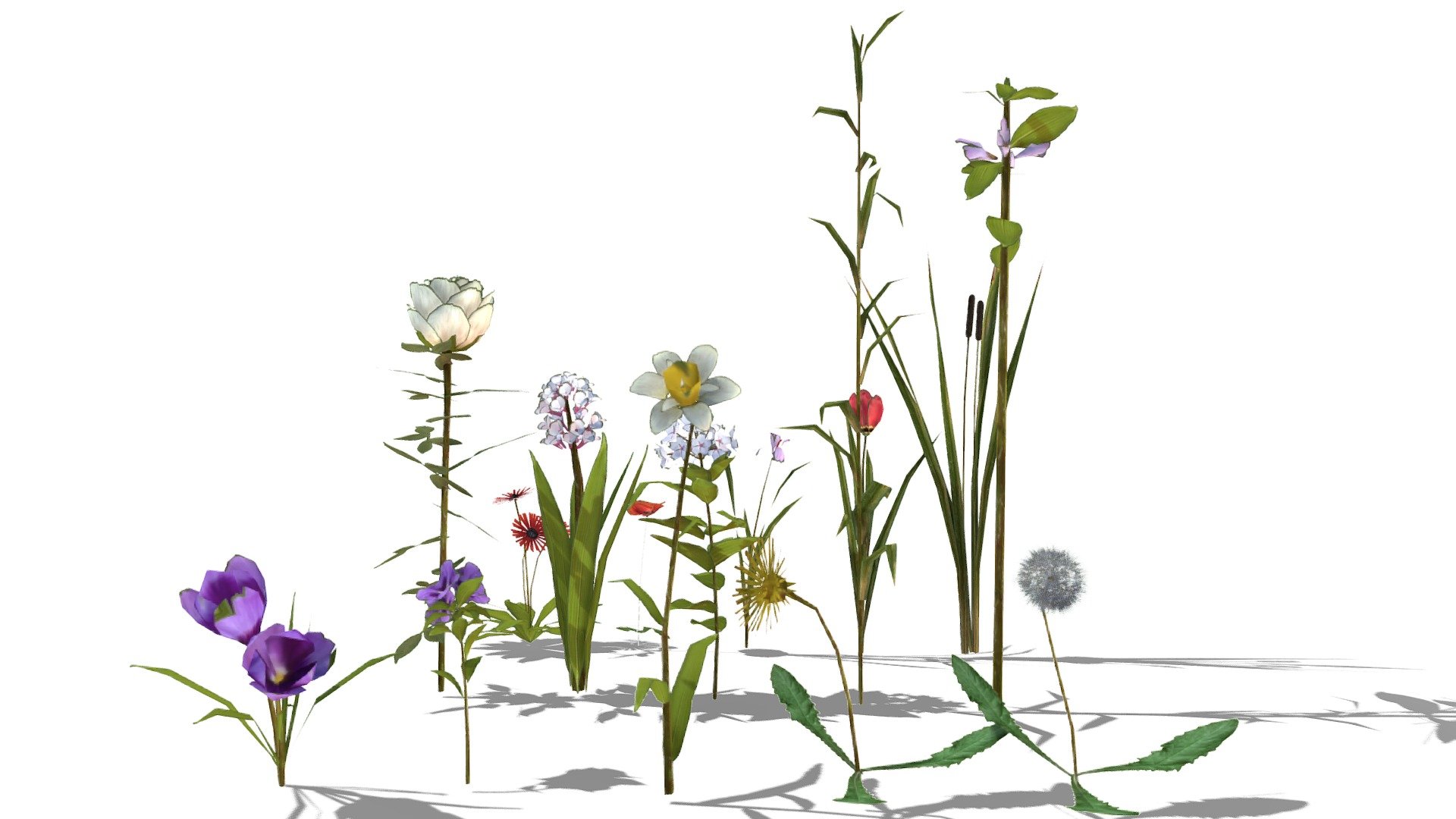 Wild Flowers / Grass / Foliage - Buy Royalty Free 3D model by Studio ...