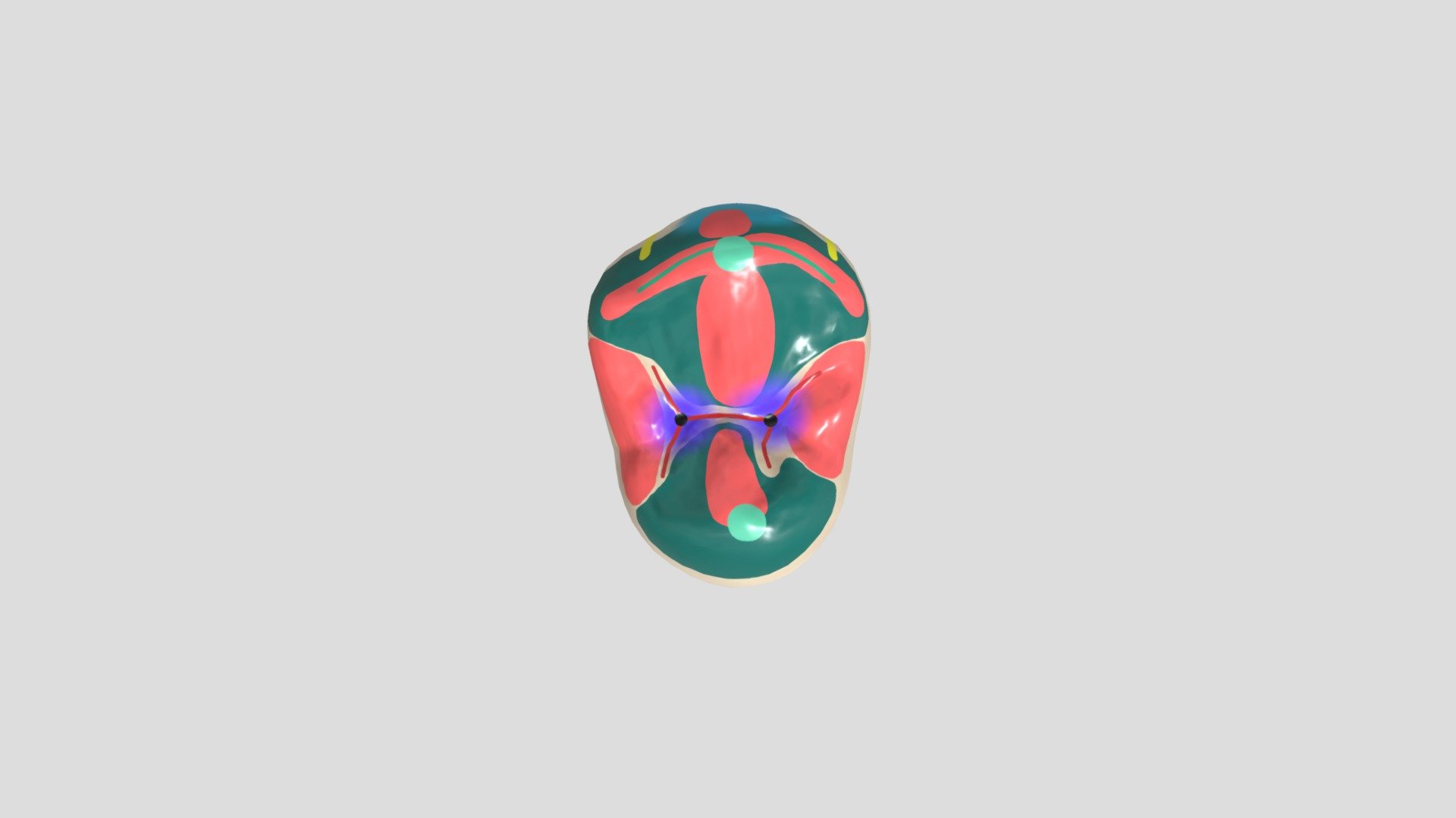 Maxillary second premolar anatomy features - 3D model by Virtual Dental ...