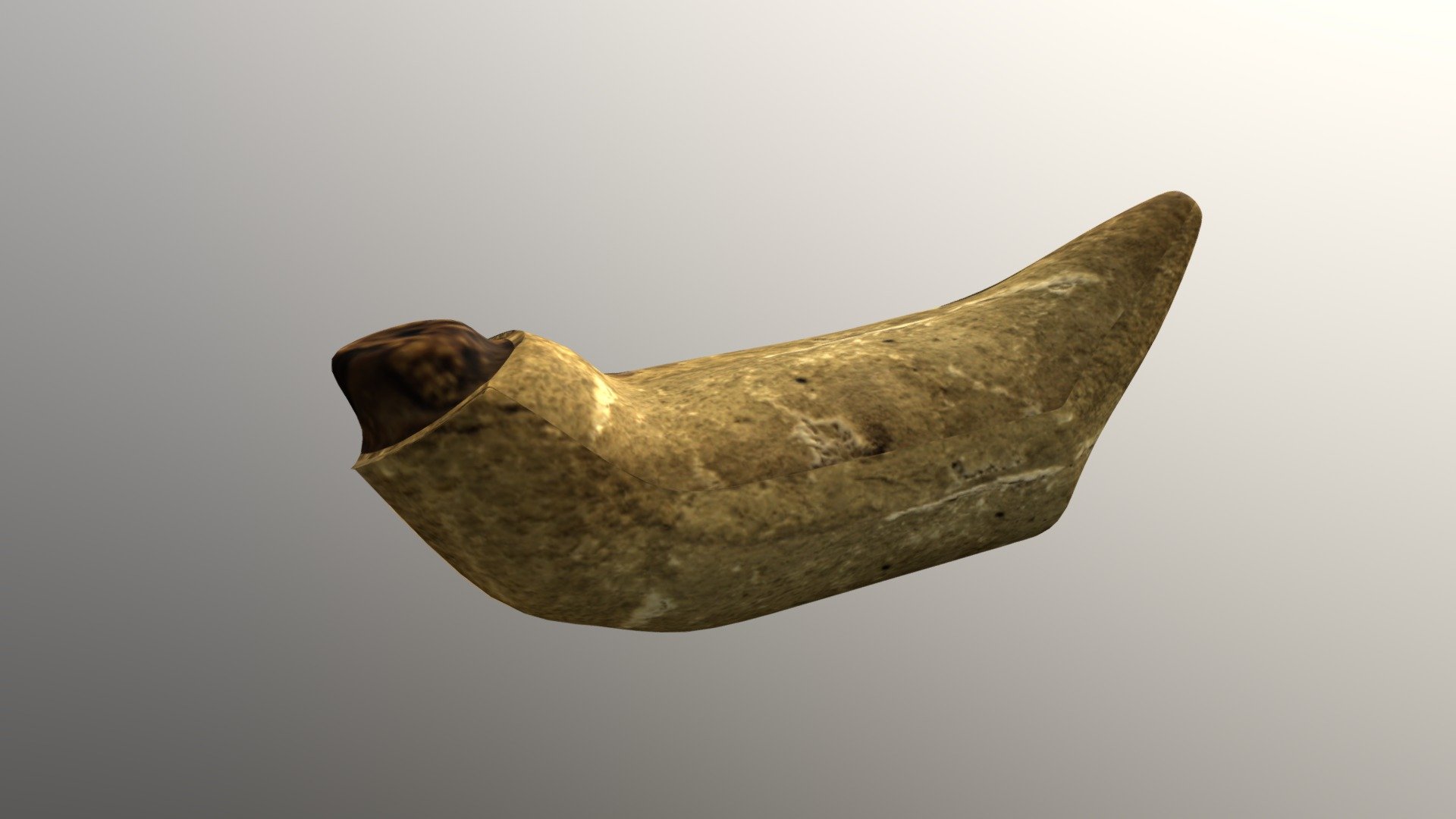 Question 5B Thyone - 3D model by Systematic Paleontology Missouri S&T ...