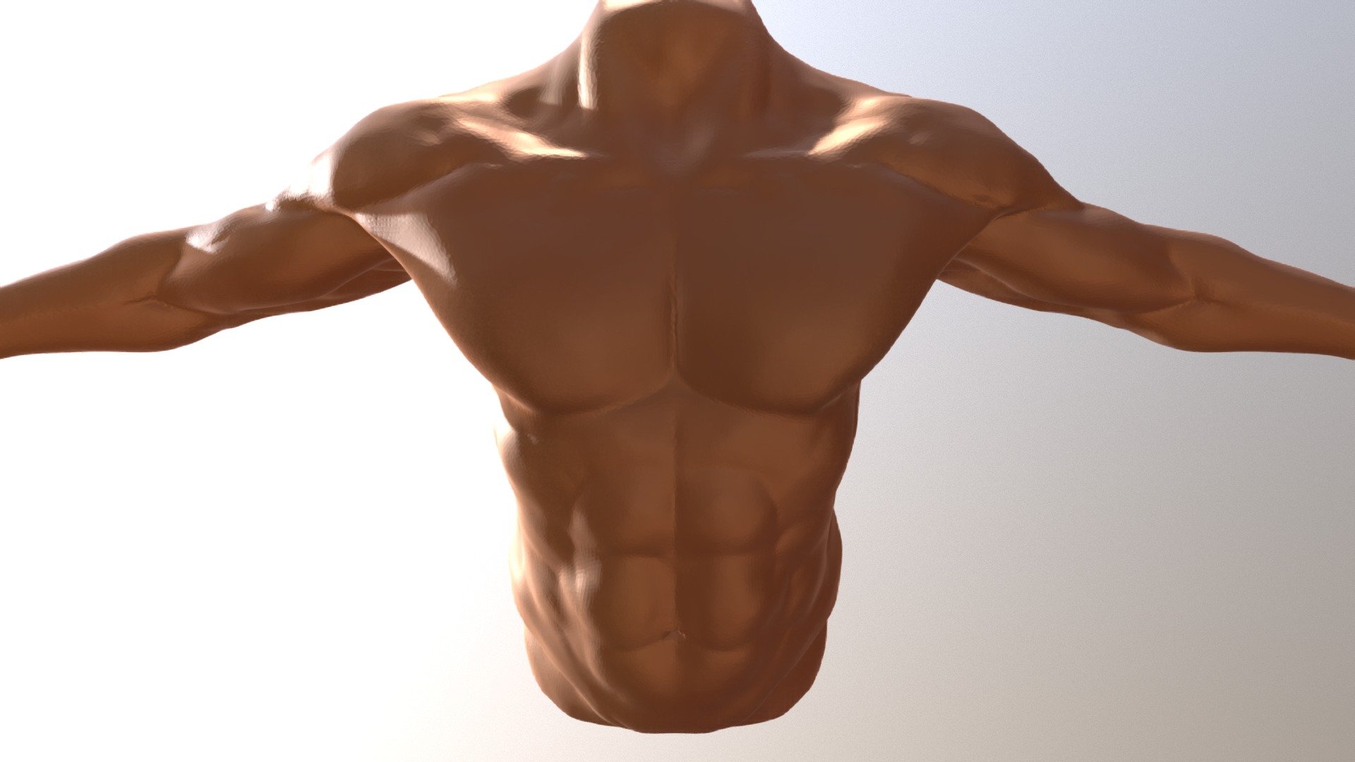 Male Torso - 3D model by Marco (@mhoefman) [42f7fe3] - Sketchfab