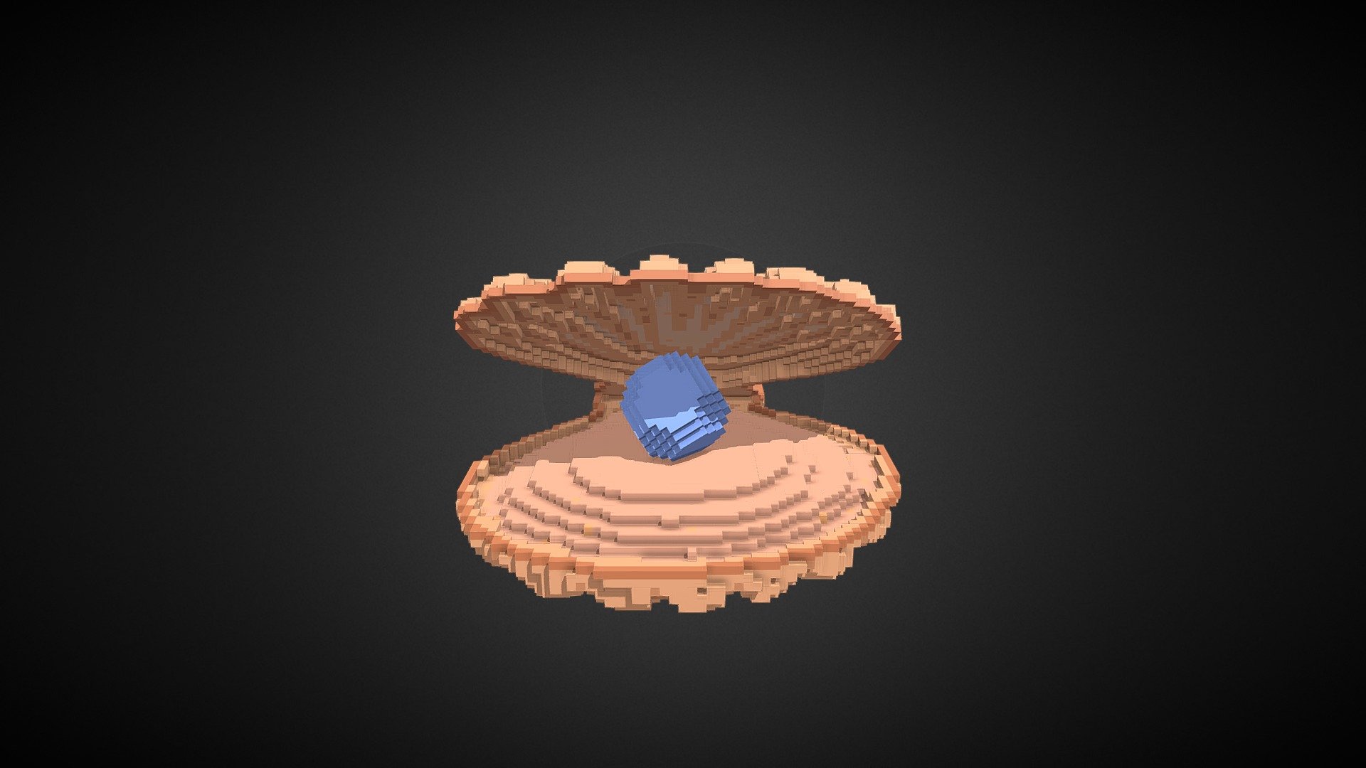Shell - 3D model by poypinkulo [43019ed] - Sketchfab