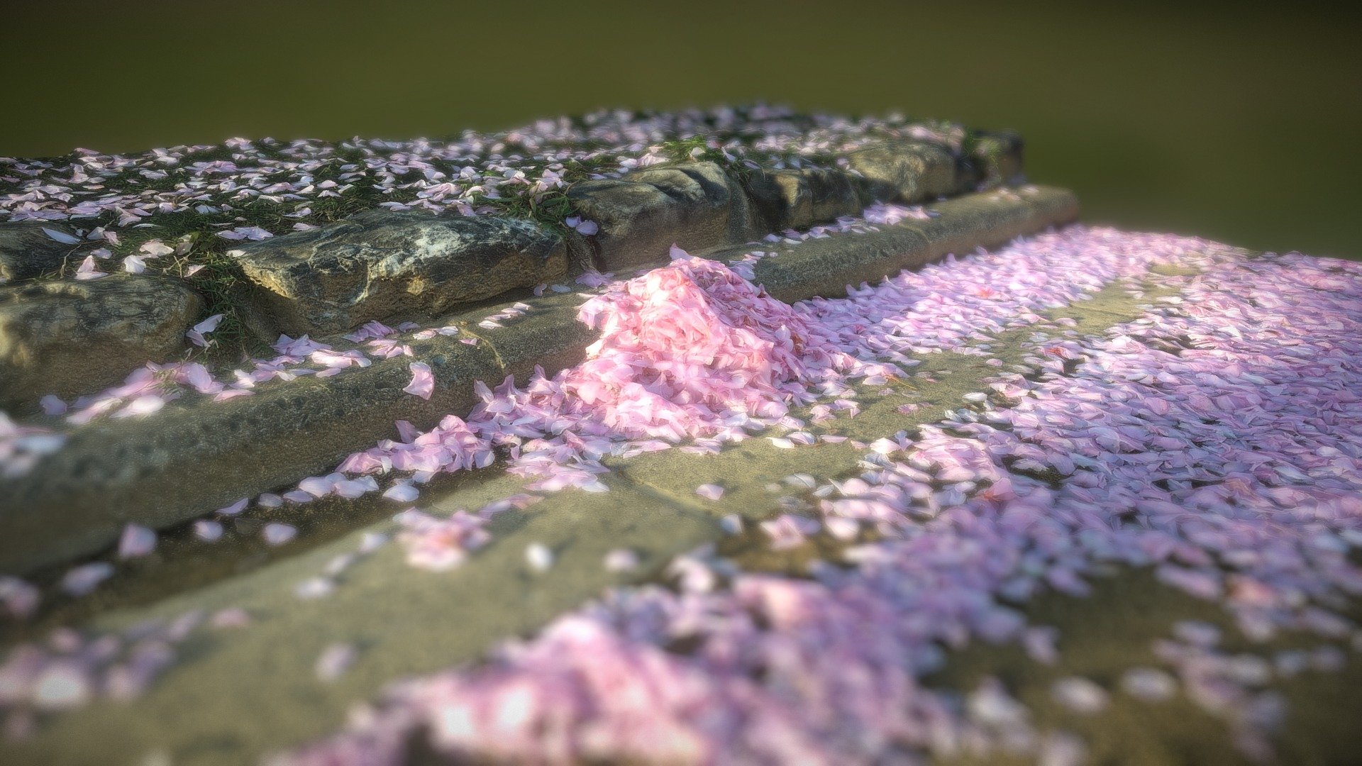 Sakura - 3D model by Yu (@FFT_kedar) [430c15a] - Sketchfab