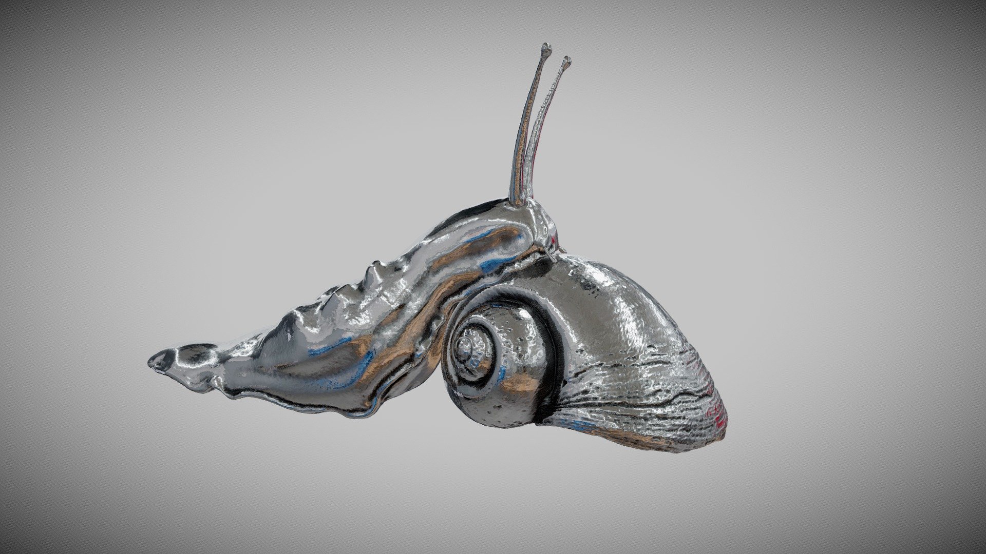 Metal Snail and shell - Download Free 3D model by Alessandro Zanetti ...