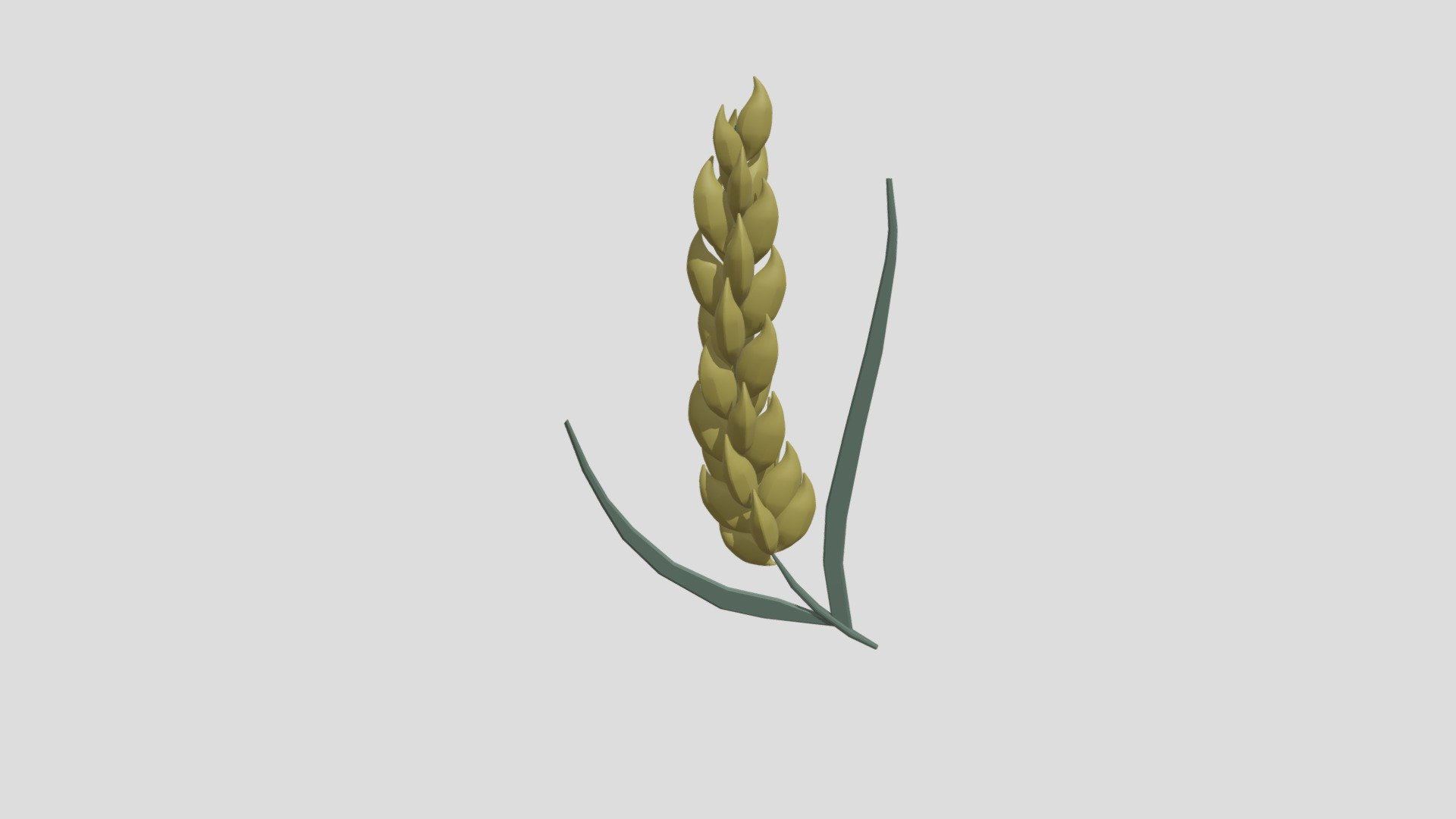 Wheat Trigo - 3D model by Sion (@mrSpeedle) [4311581] - Sketchfab
