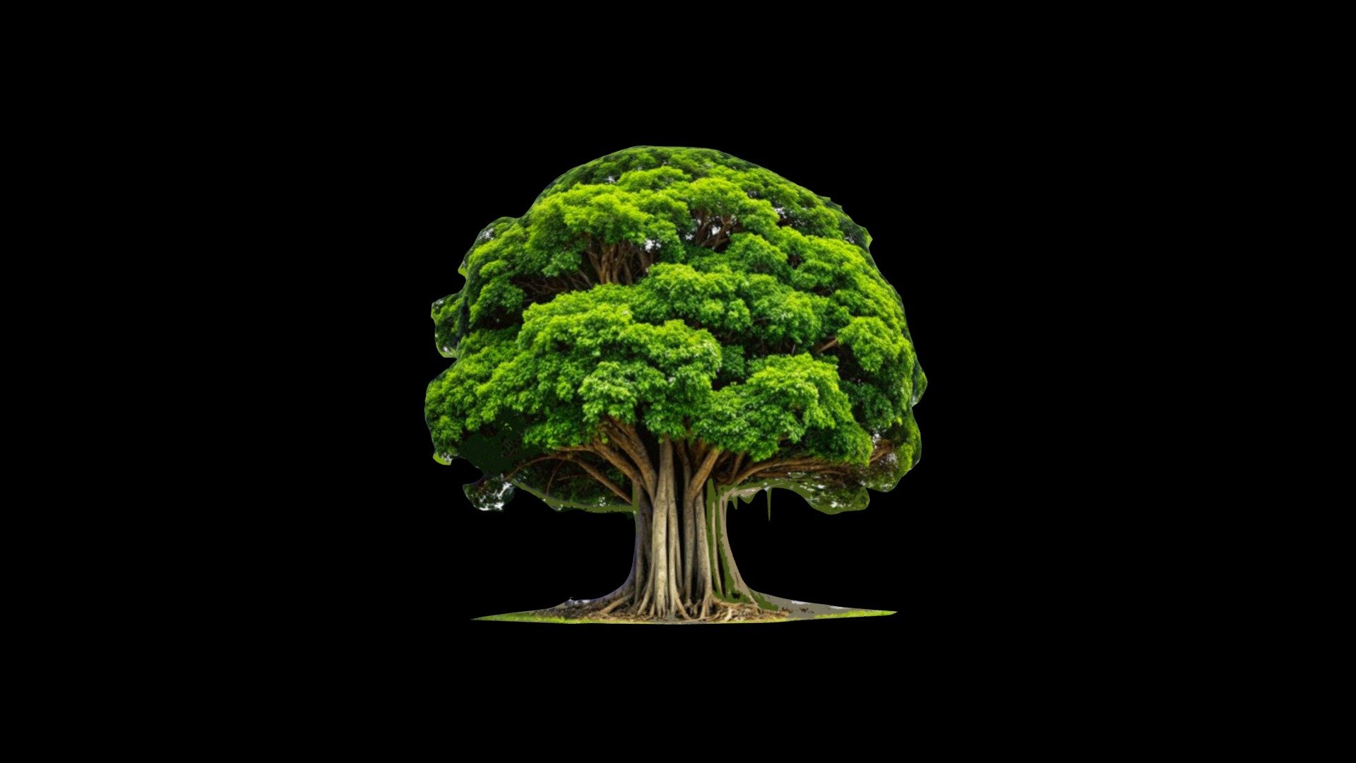 K7_Pohon Beringin - 3D model by rievasulistya (@rieva) [43167a0 ...