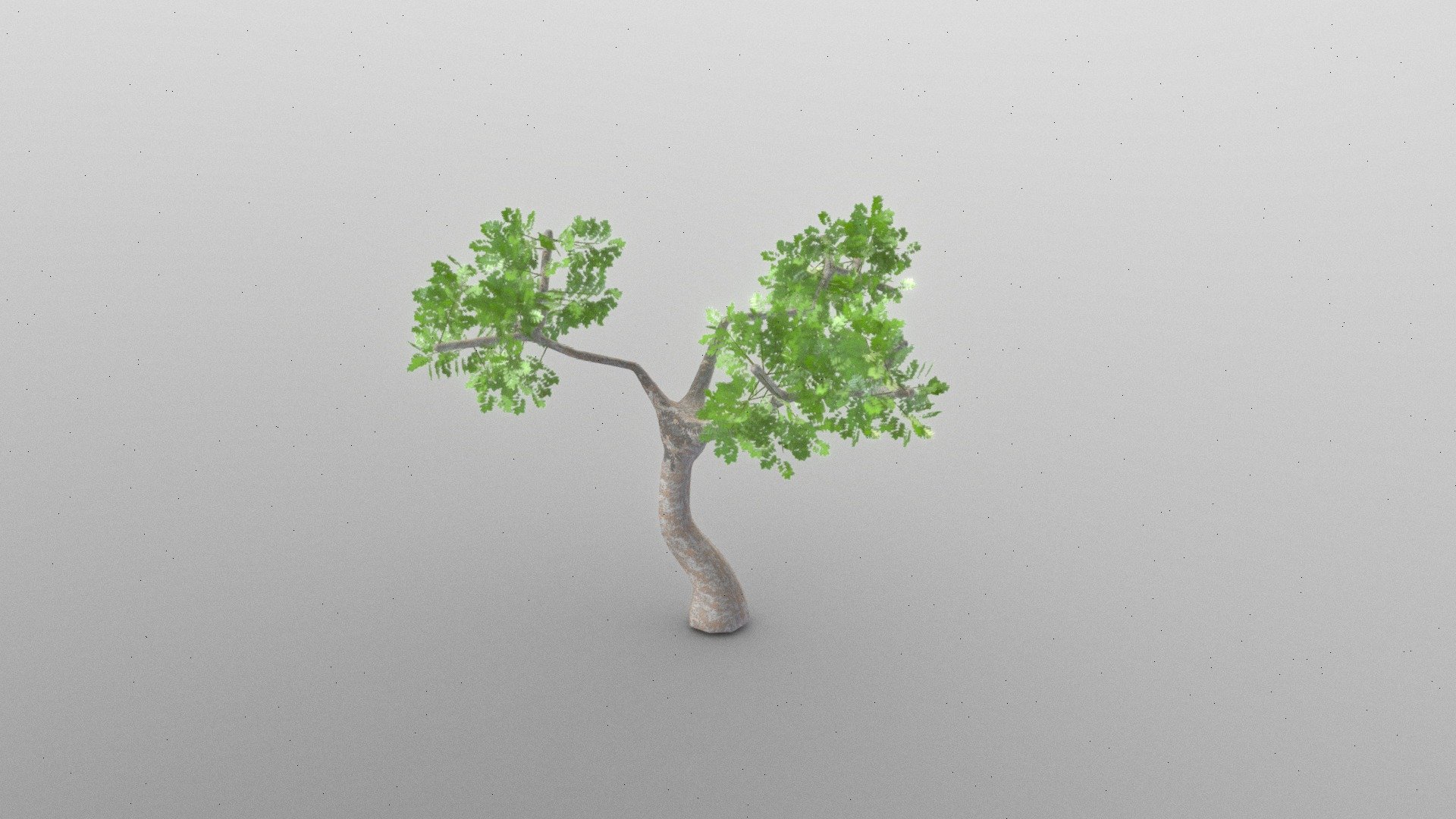 tree.simple.001 - Download Free 3D model by c.gleison [4316d79] - Sketchfab