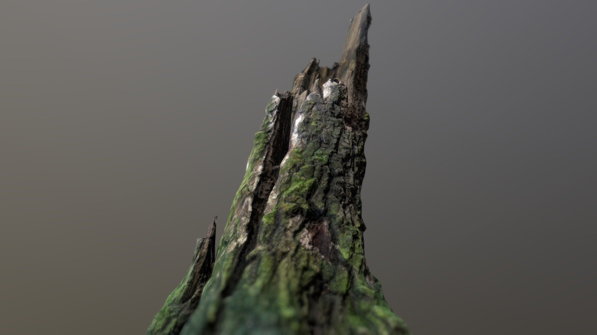 broken tree - Buy Royalty Free 3D model by v124entkl [4317472 ...