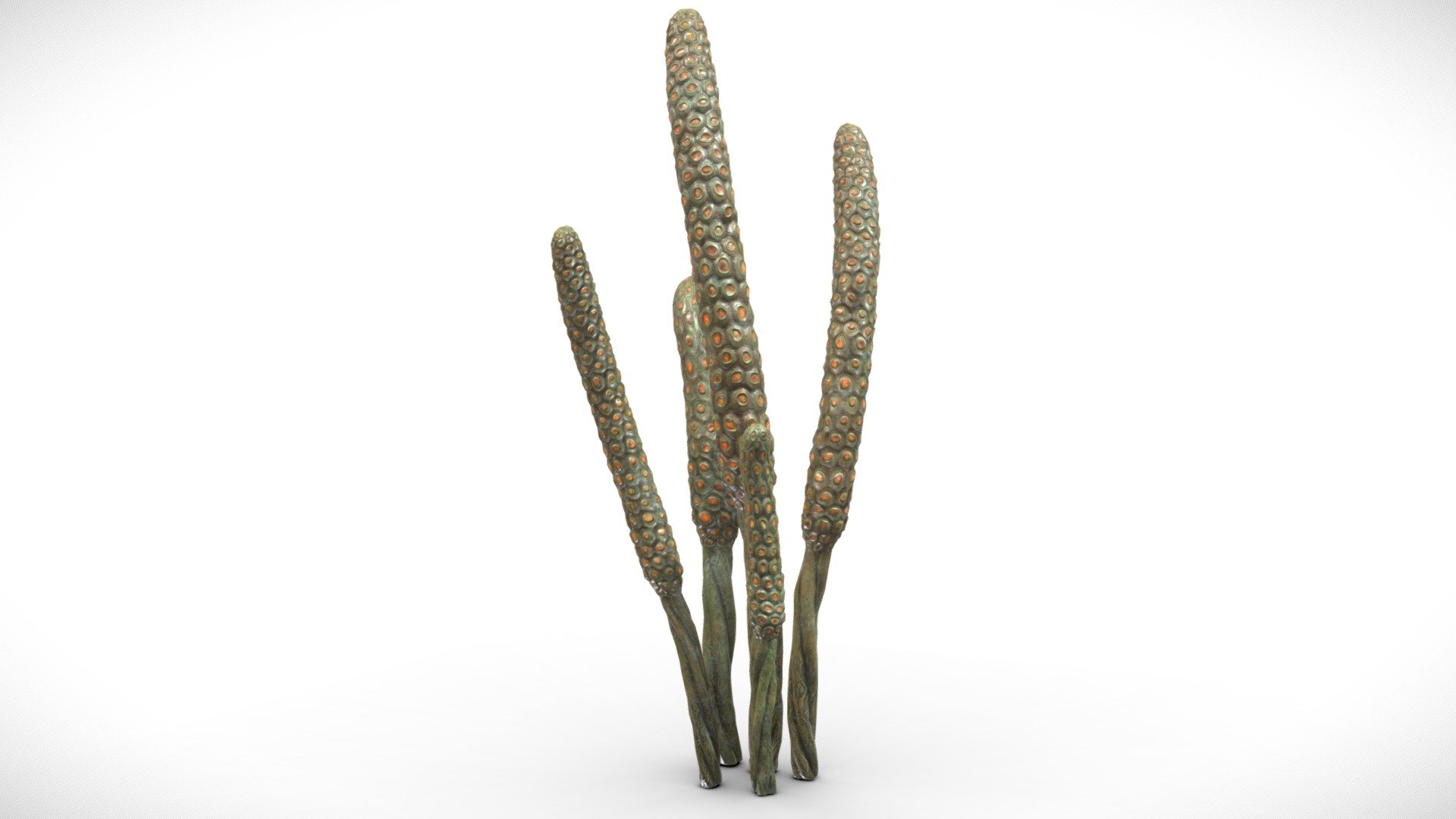 Alien Fantasy Plant - Swamp Reeds - Buy Royalty Free 3D model by ...