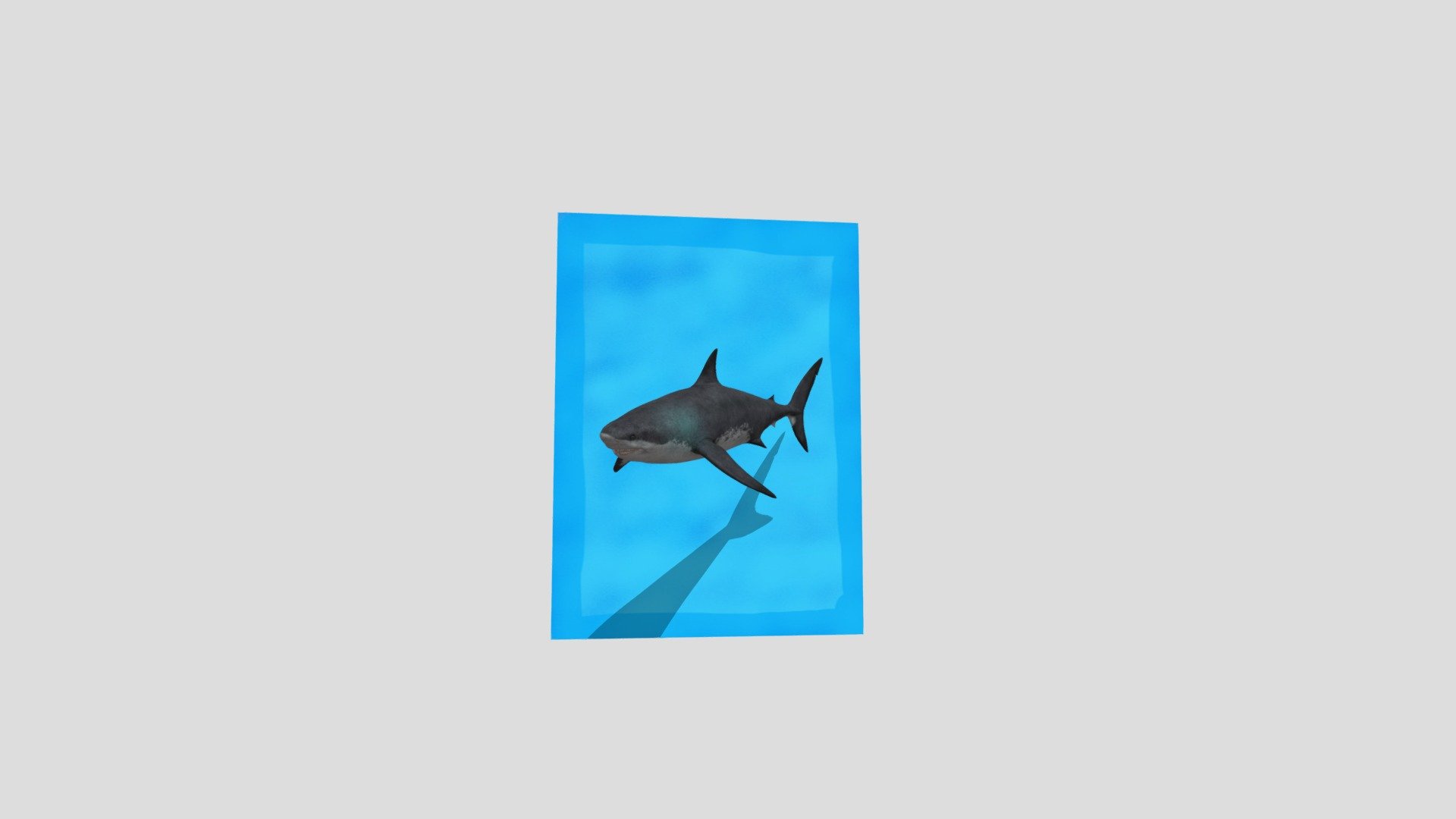 Megaladon - Download Free 3D model by Reboot3425163542 [431ee71 ...