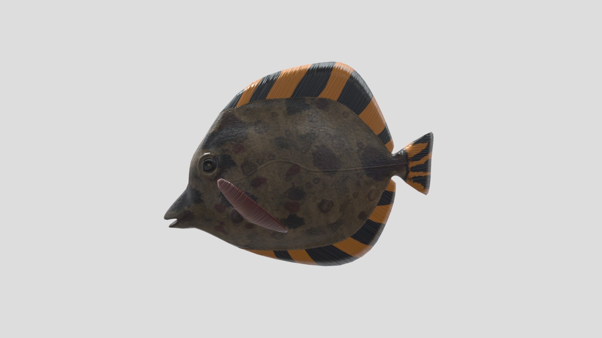 Michno Fish - Download Free 3D model by heathermichno [432240c] - Sketchfab