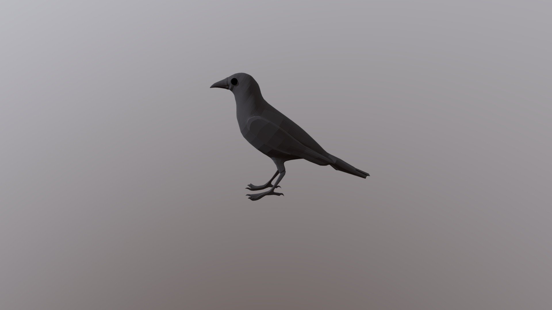 Crow - 3D model by Jamil (@Jamil.Valente) [432b6d0] - Sketchfab