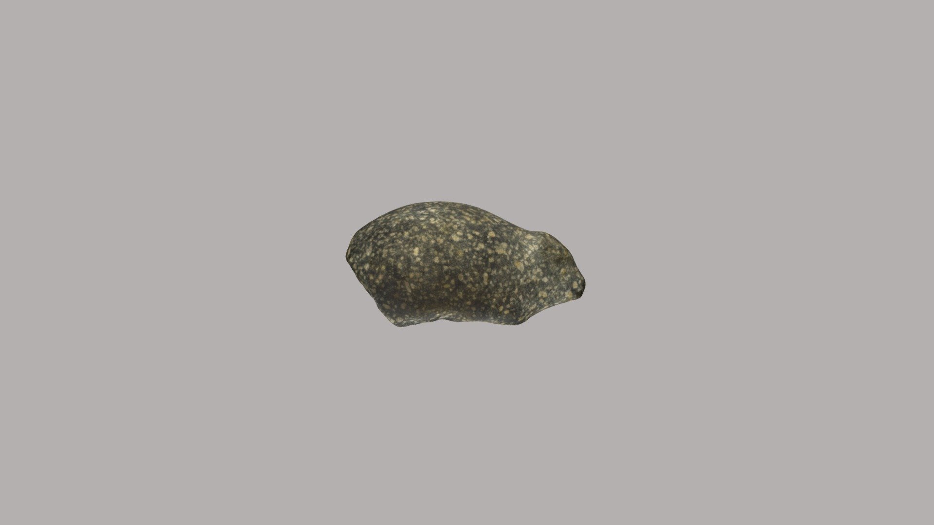Zoólito 4335 - 3D model by Museu Arqueológico de Sambaqui de Joinville ...