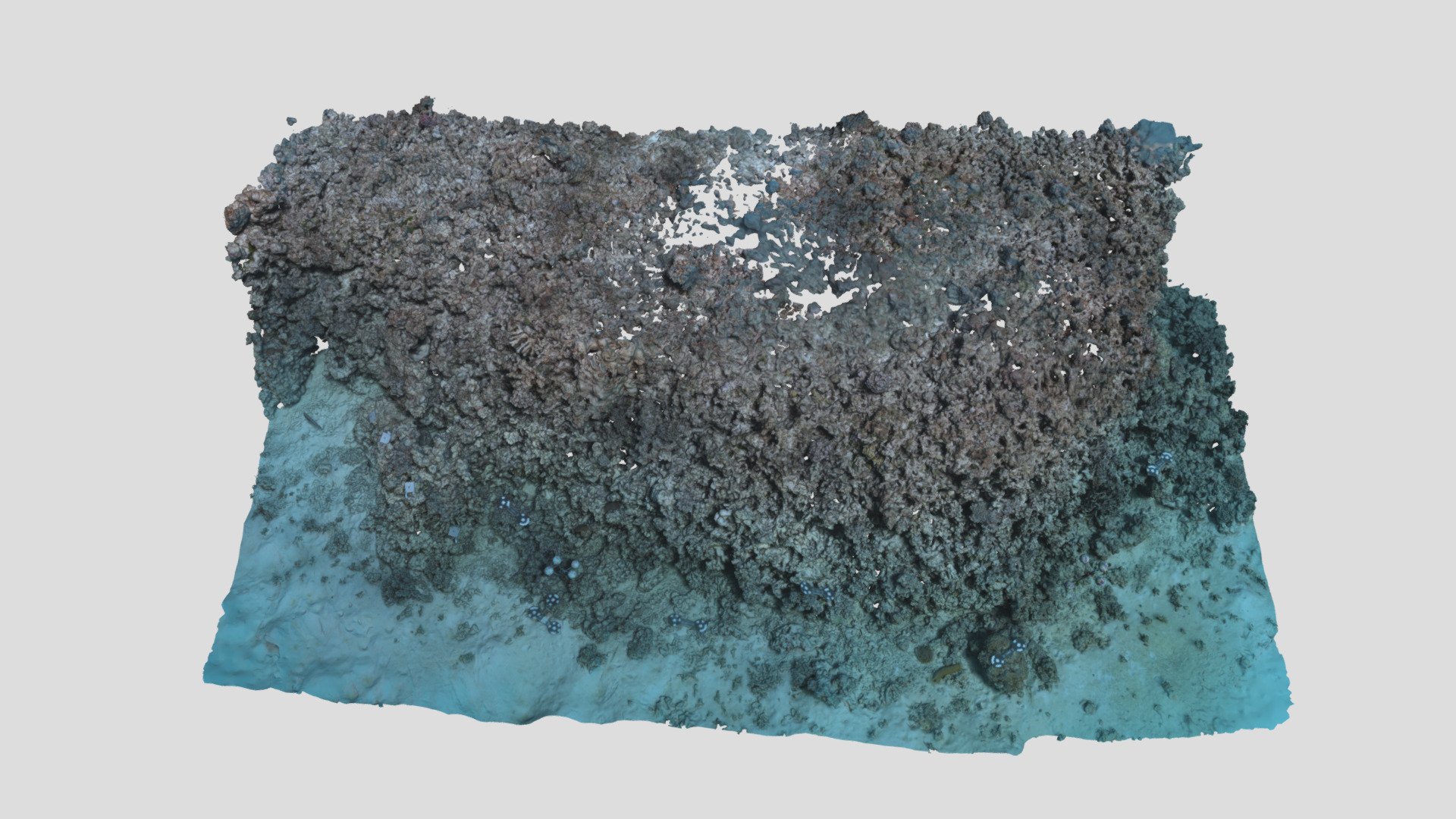 Heron_LA1S_P3_202105 - Download Free 3D model by EcoRRAP (@AIMSEcoRRAP ...