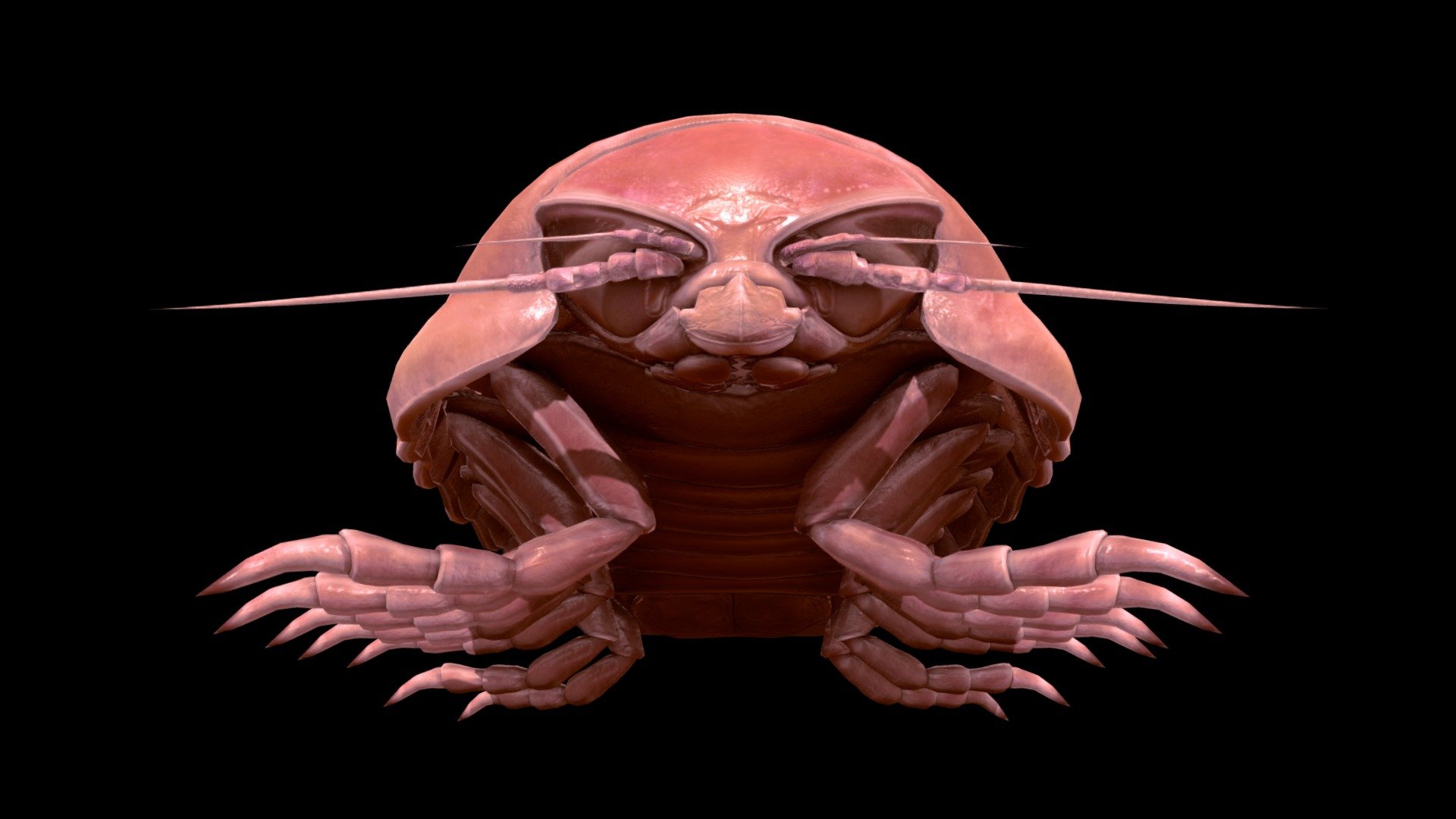 Giant Isopod - 3D model by maceolepage [4333436] - Sketchfab