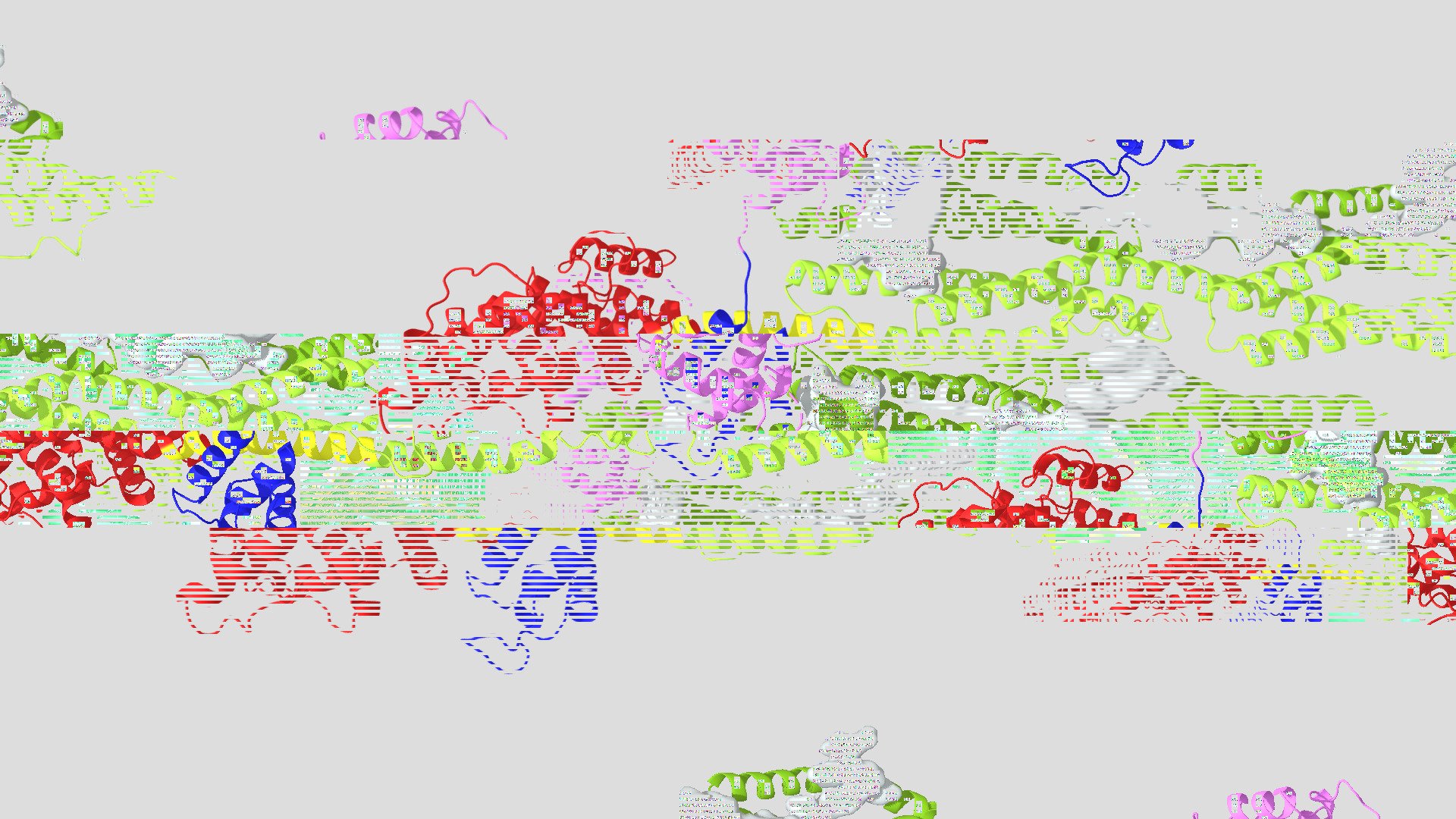 Half-dimer-α-actinin-2/Δ91-FATZ-1 (Figure 3B) - 3D model by kristina ...
