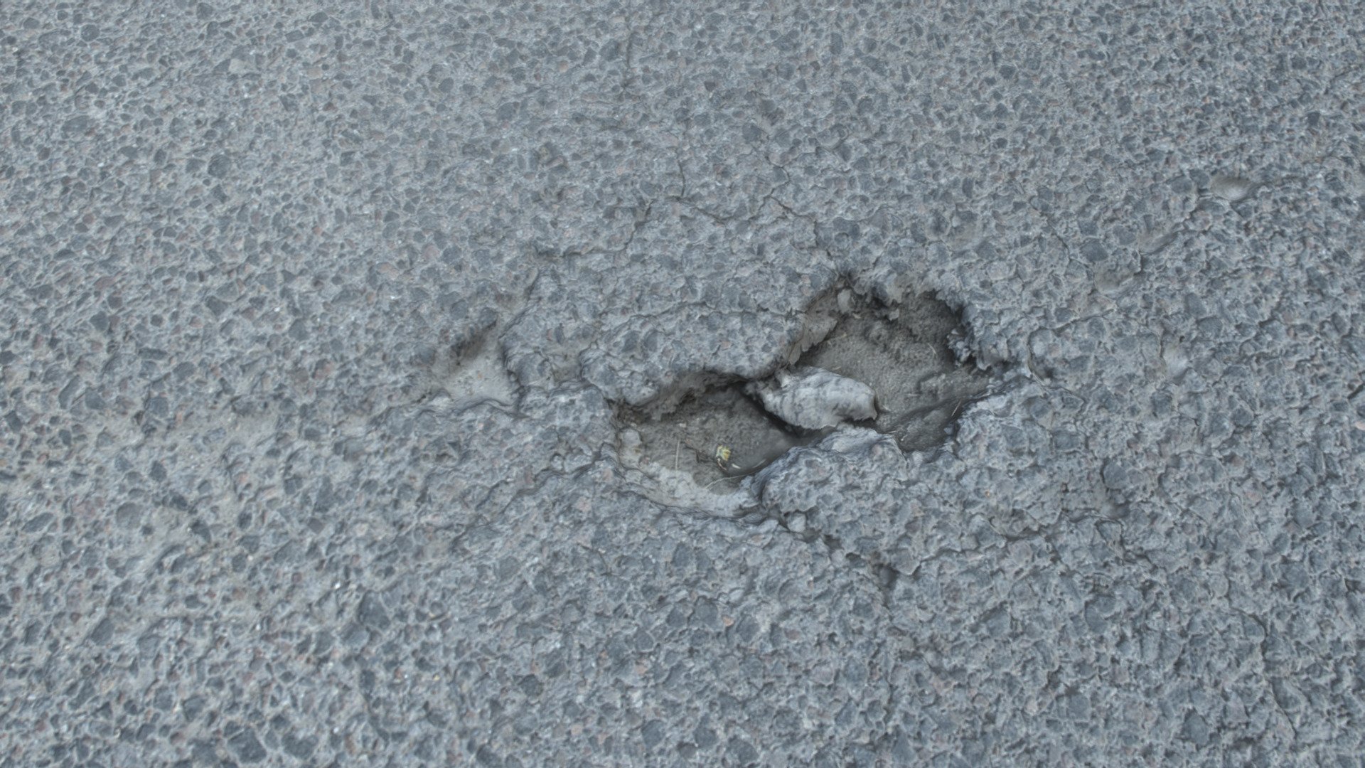 Photoscan - Pothole 1 - Download Free 3D model by Kidney_02 [433a22e ...