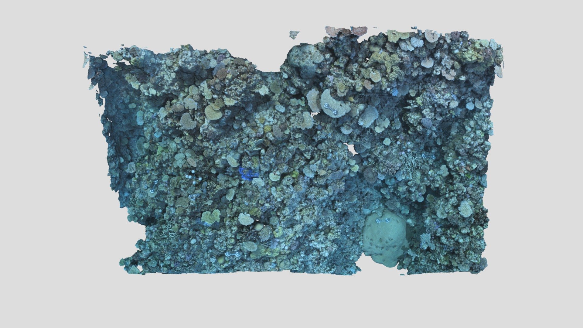 Davies_FR2S_P3_202201 - 3D model by EcoRRAP (@AIMSEcoRRAP) [433f003 ...