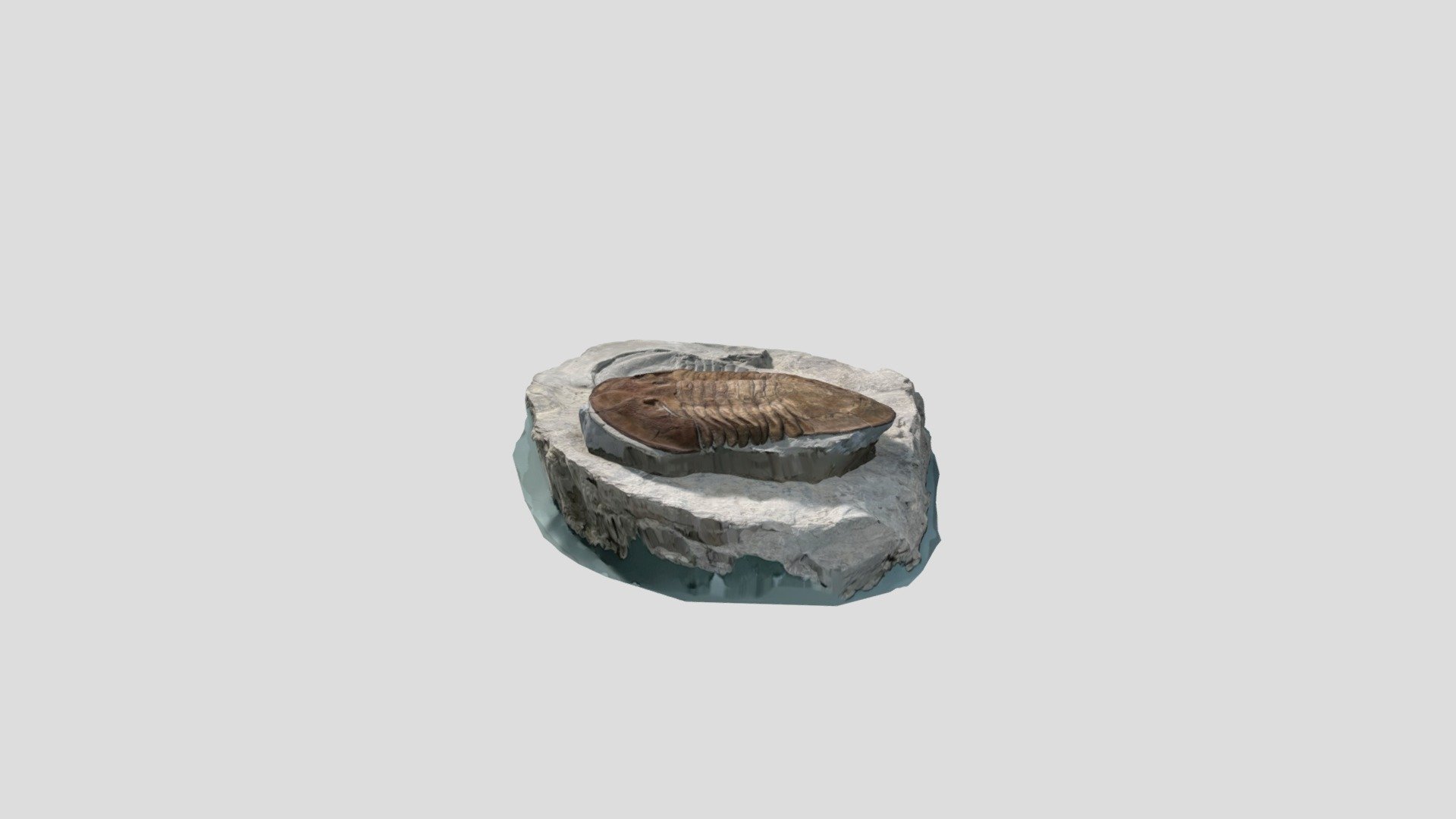 Isotelus Render - Download Free 3D model by ethanzhouu [4342233 ...