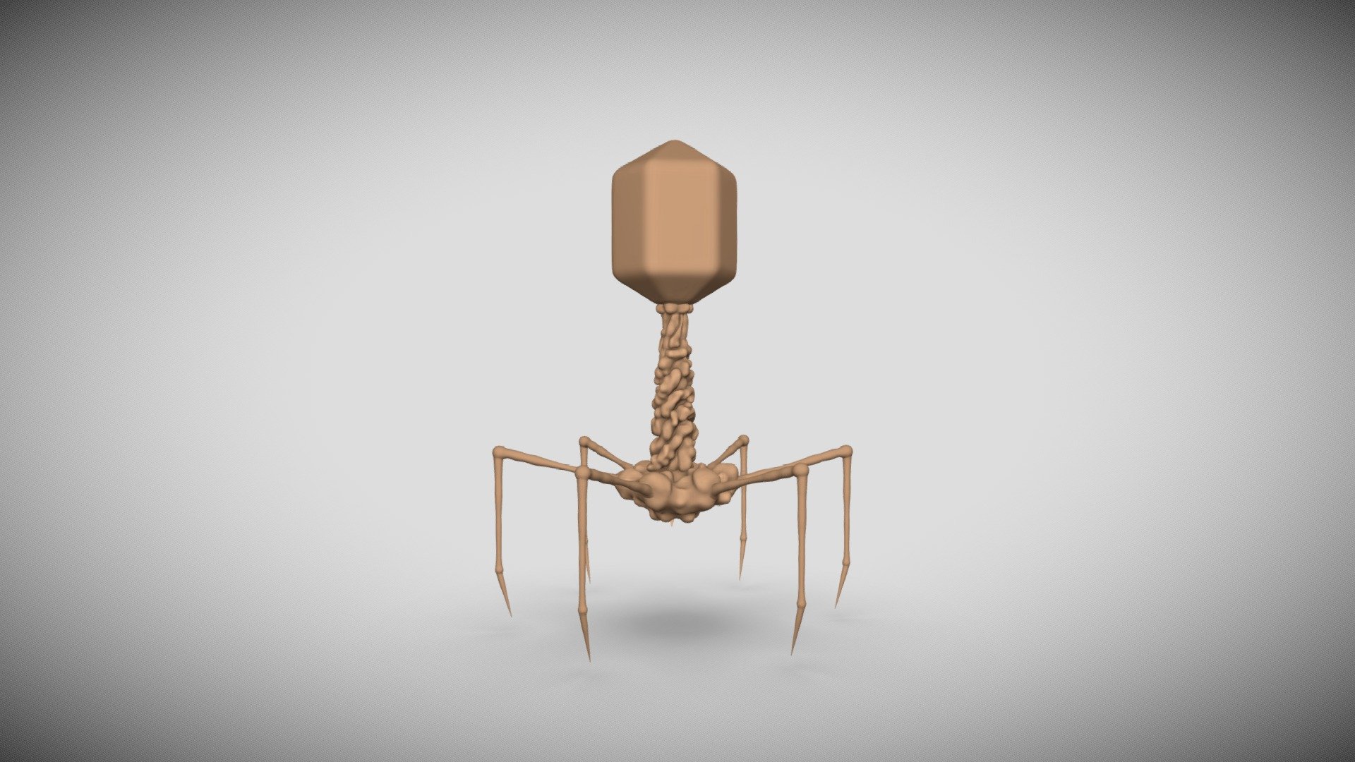 Bacteriophage - 3D model by ER Walker (@er.walker) [43457b3] - Sketchfab