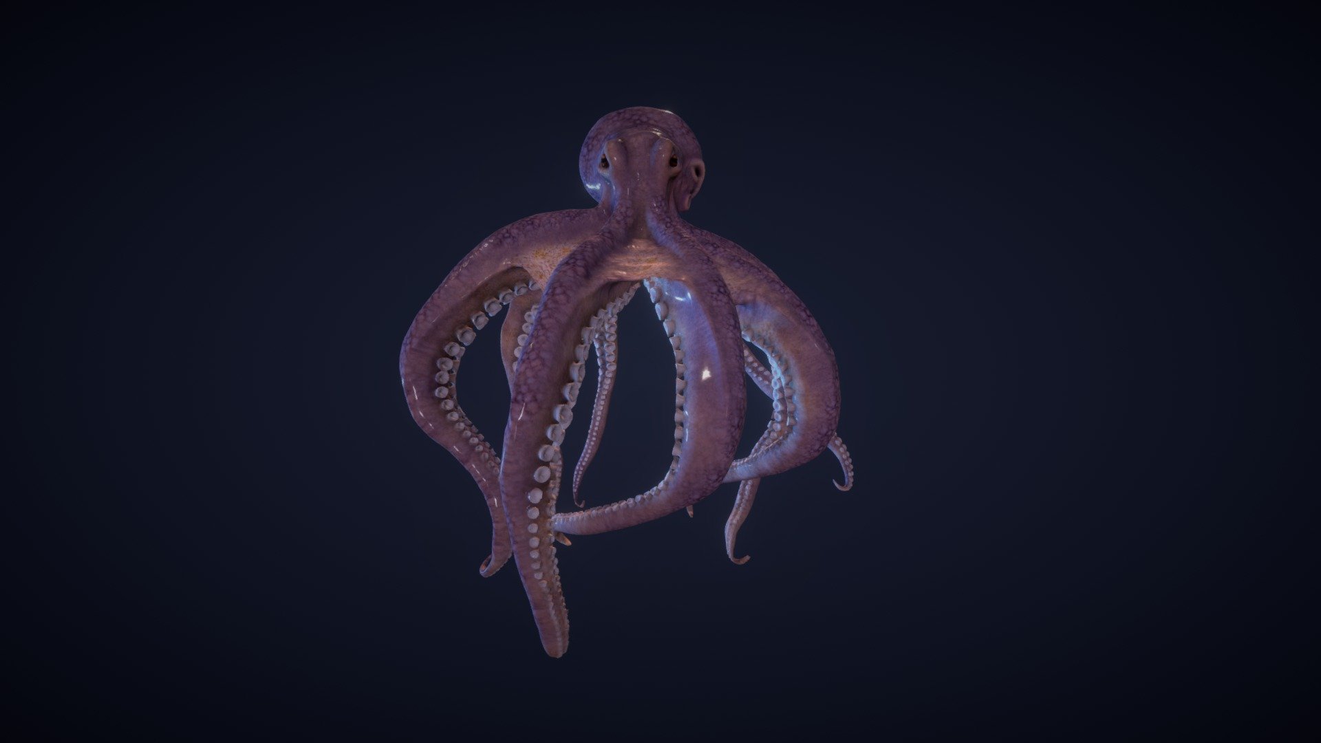 Octopus - 3D model by ingridbarany [4345c0a] - Sketchfab