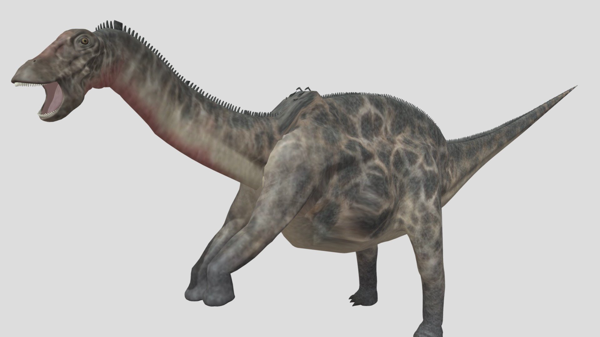 dicraeosaurus - Download Free 3D model by seth the yutyrannus ...