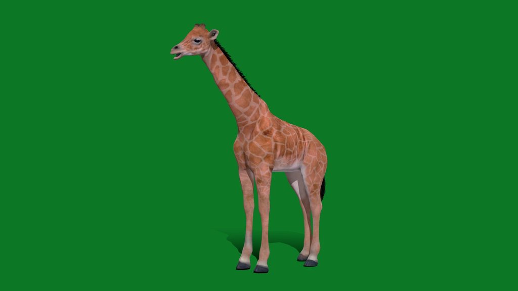 animated animals - A 3D model collection by dom86link - Sketchfab