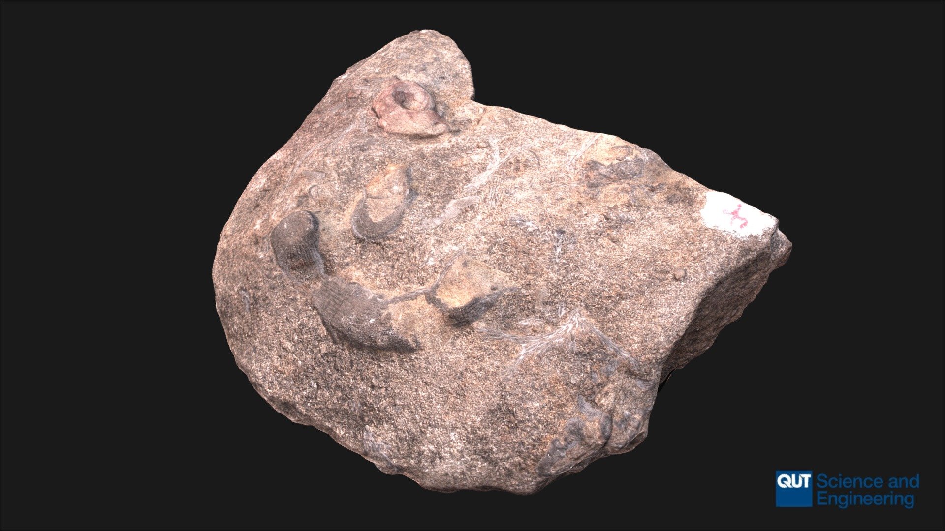 ERB102 Depositional Environments Sample 4 - 3D model by QUTSEF [4355ca9 ...