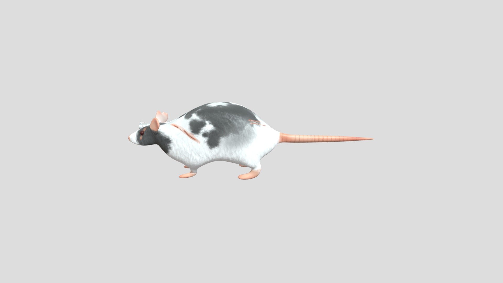 Lab Rat - 3D model by girroni (@itsaverymarie) [435986d] - Sketchfab