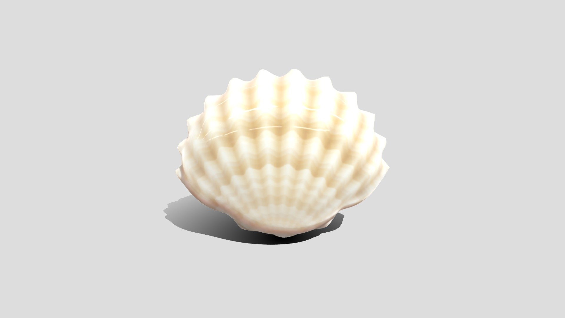 clamshell 3d - 3D model by nazzilahasya [435e2eb] - Sketchfab