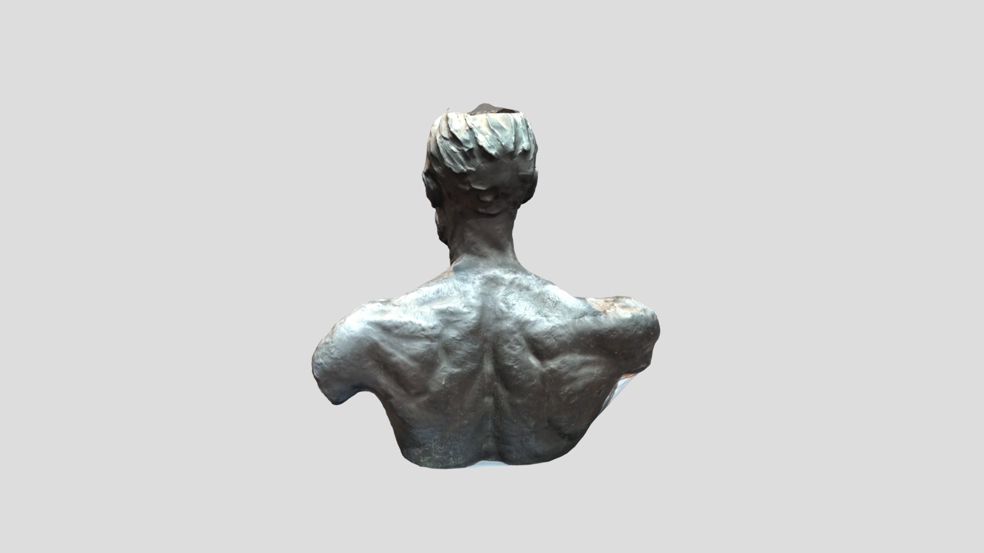 kees - 3D model by emriche [43600e6] - Sketchfab