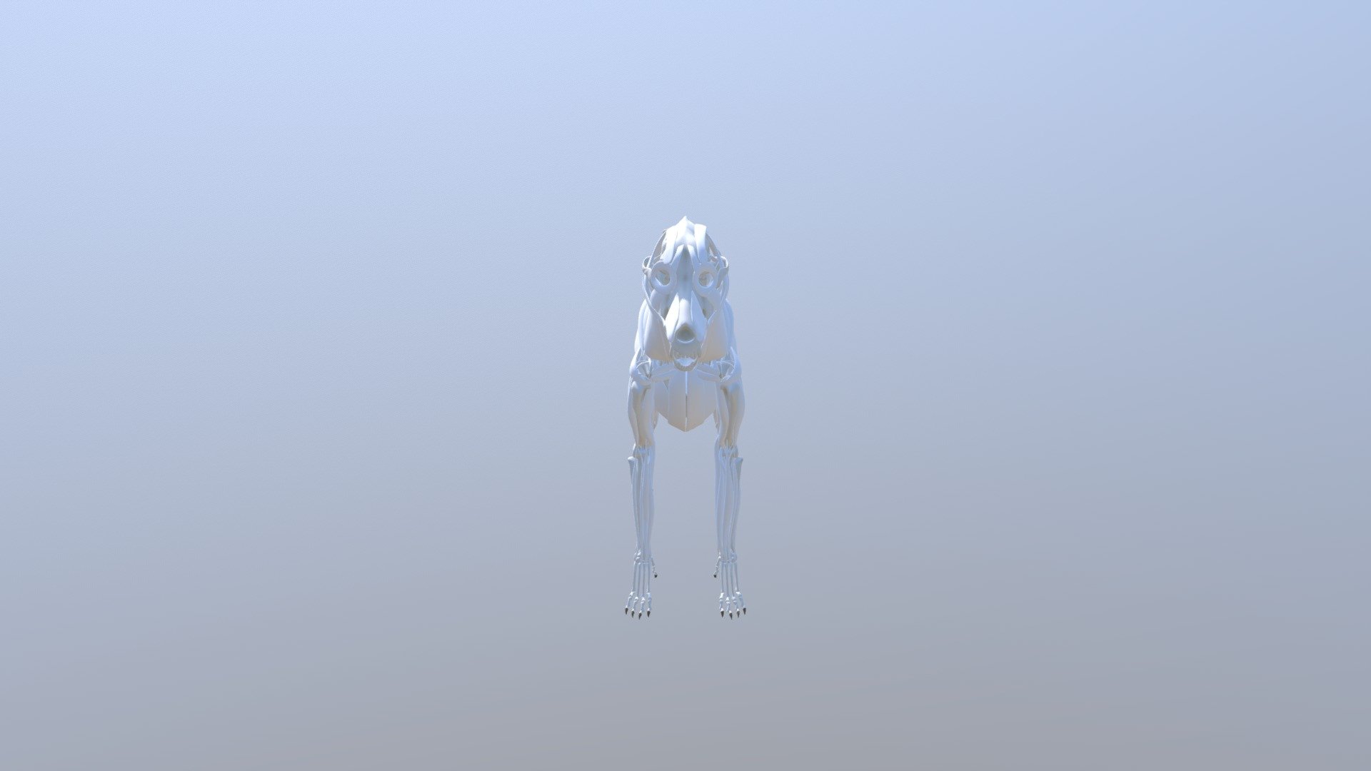 My Sketchfab Mesh - 3D model by iboddvisuals [436699d] - Sketchfab