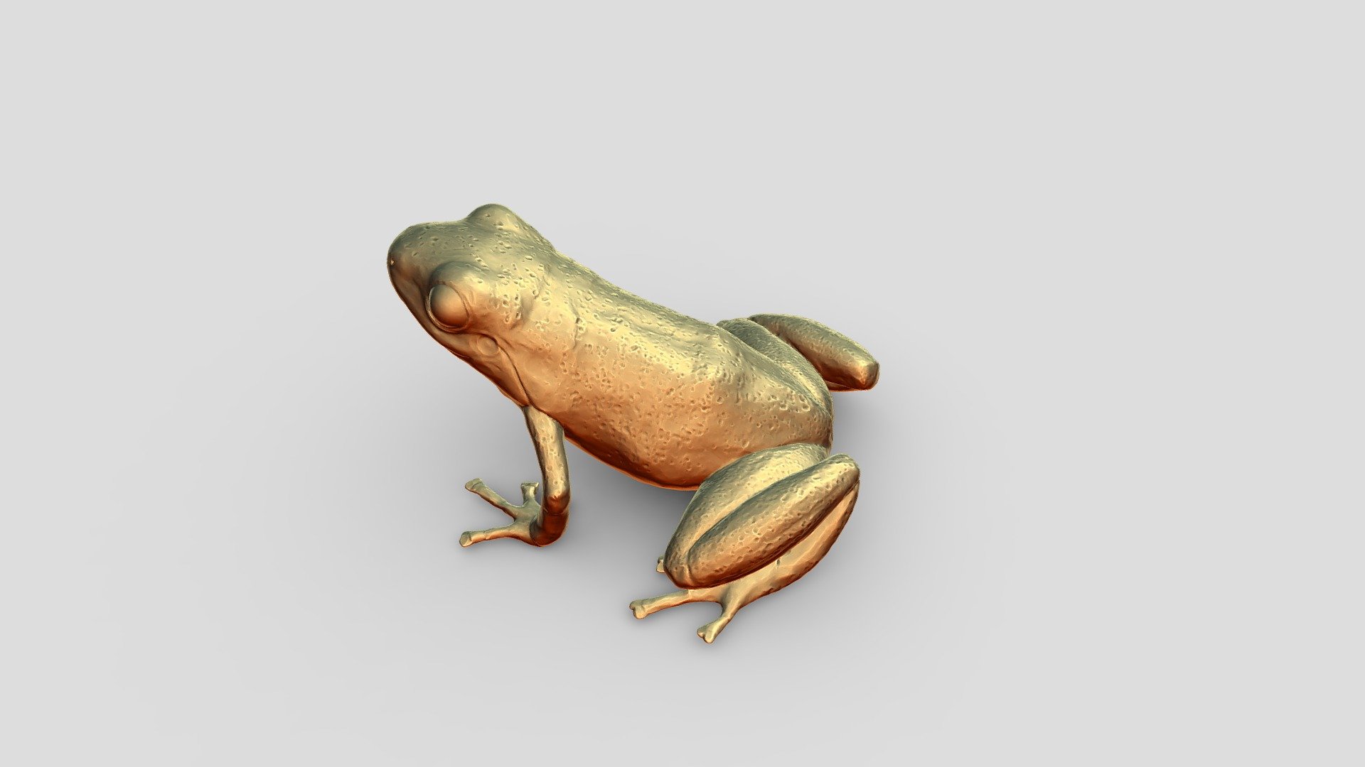 Frog - Download Free 3D model by Diana Liu (@Diana123456) [436deb1 ...