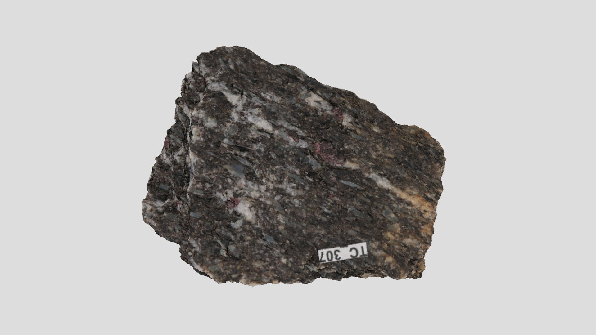 TC_307 - Download Free 3D model by Harvard Earth and Planetary Sciences ...