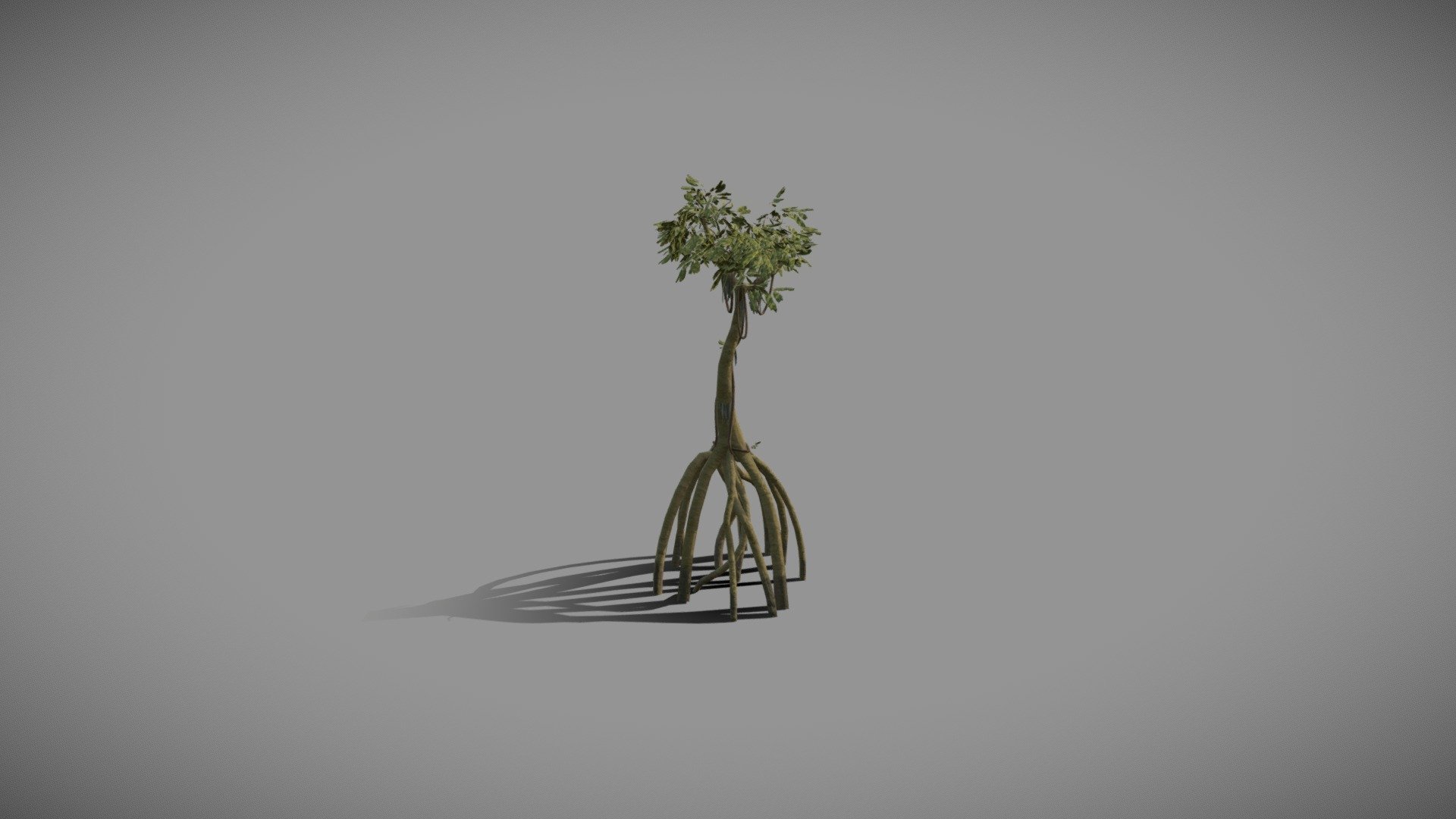 Swamp Tree - 3D model by Timo (@200014) [437b0c1] - Sketchfab