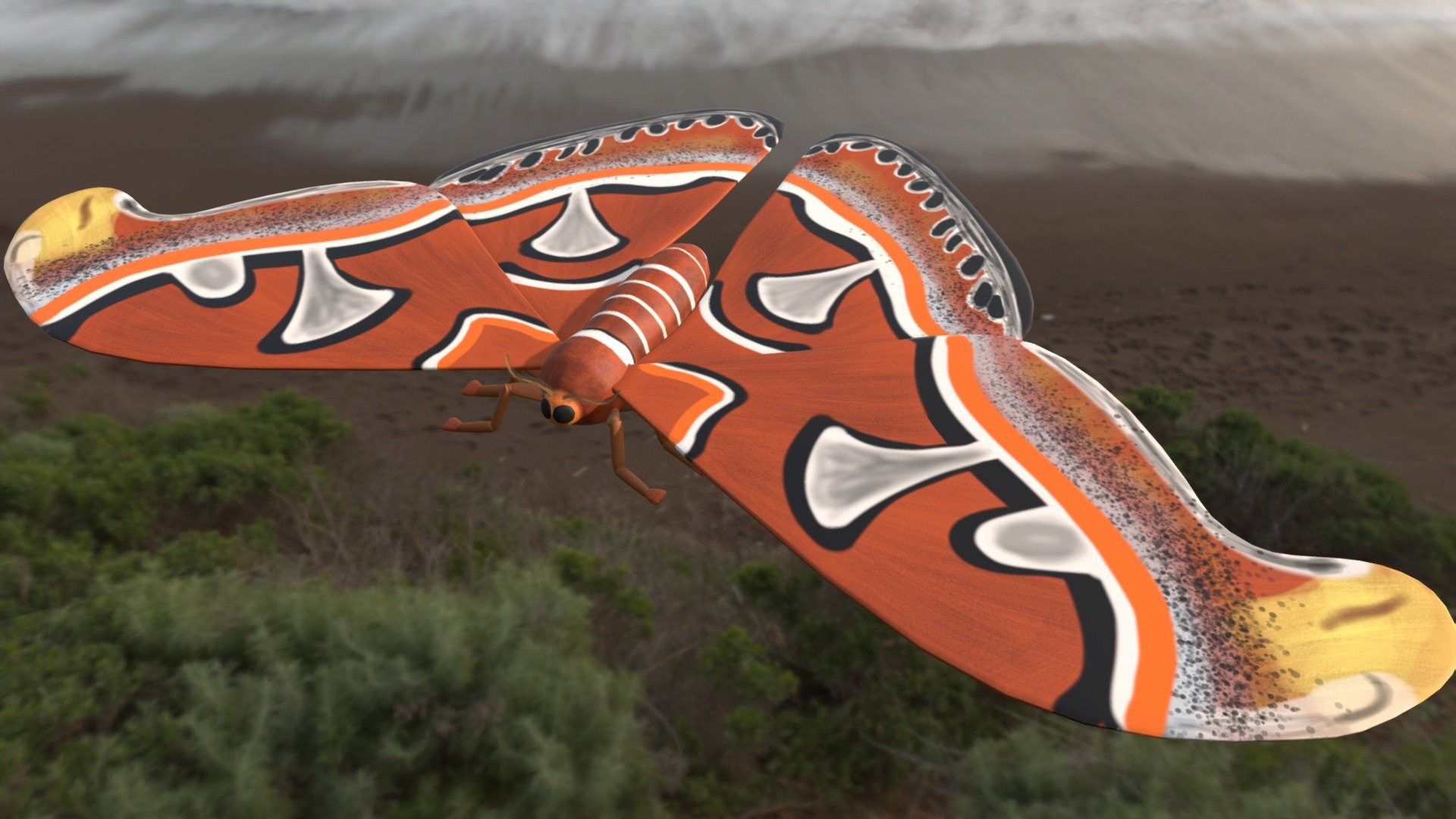 Attacus Atlas Moth - 3D model by Kyle Latin (@kslatin) [437ec06 ...