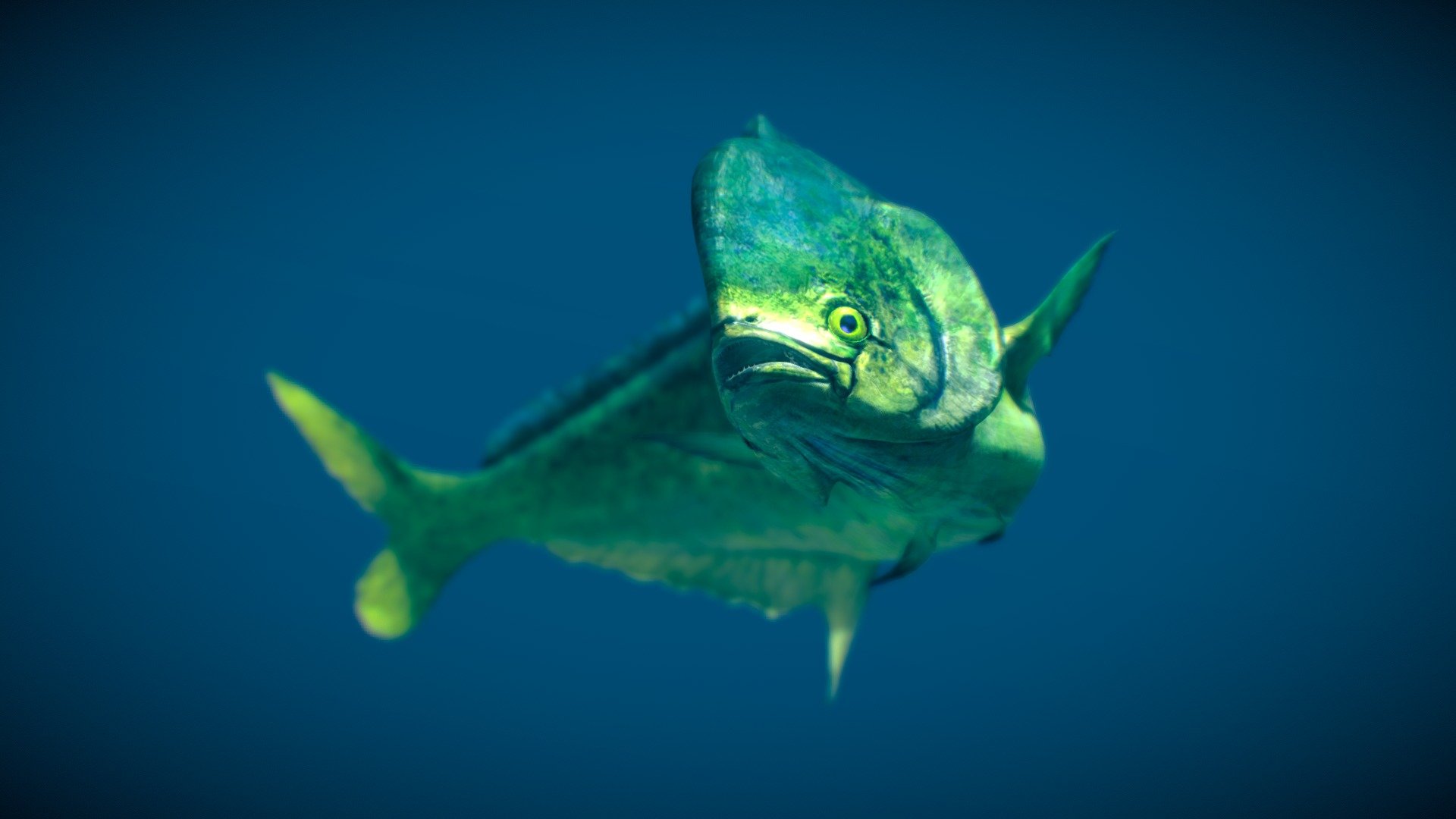 Mahi-mahi - Buy Royalty Free 3D model by Nestaeric [437ff90 ...