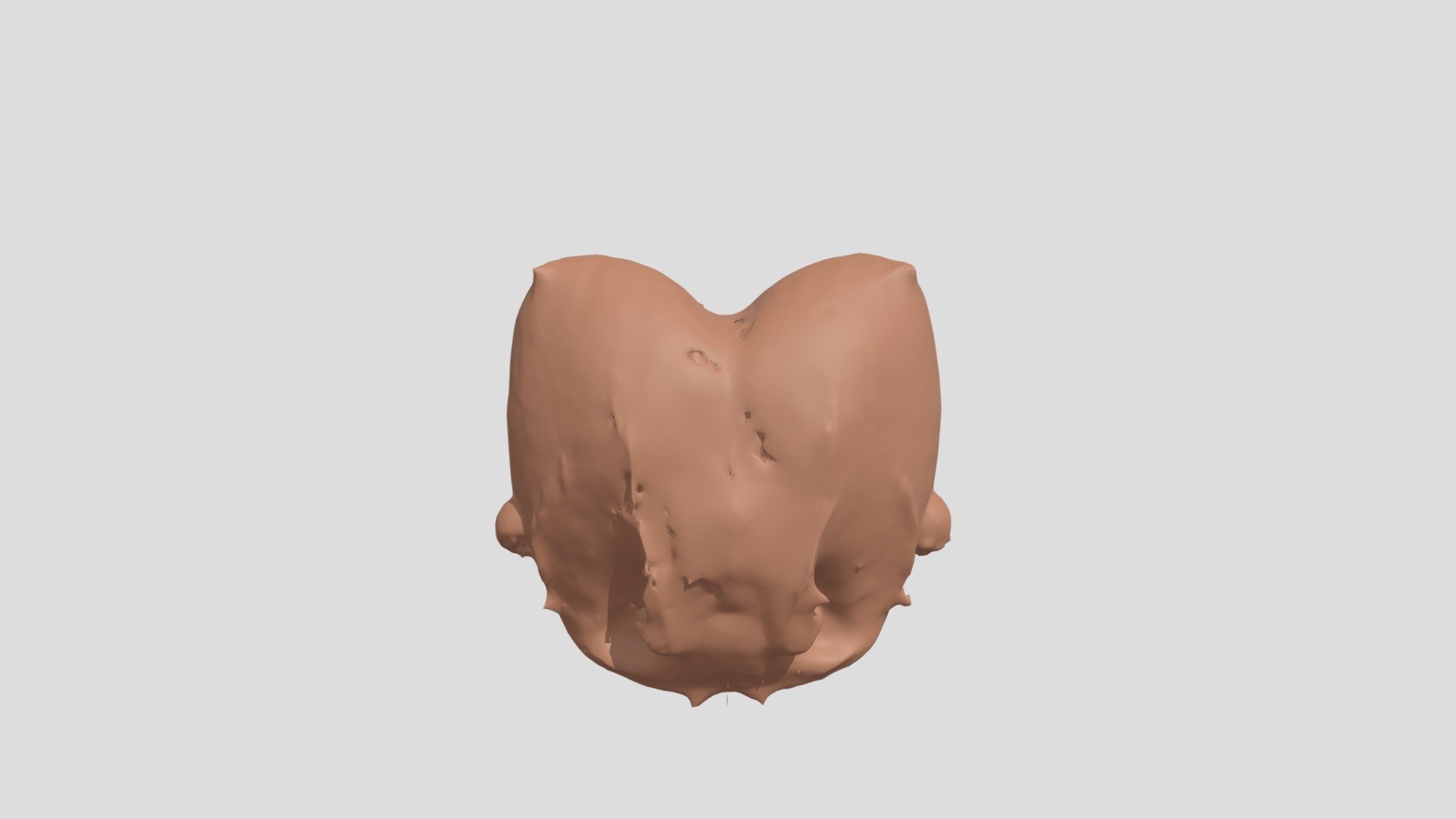 Small Atta Vollenweideri Head Capsule (1.1mg) - Download Free 3D model ...