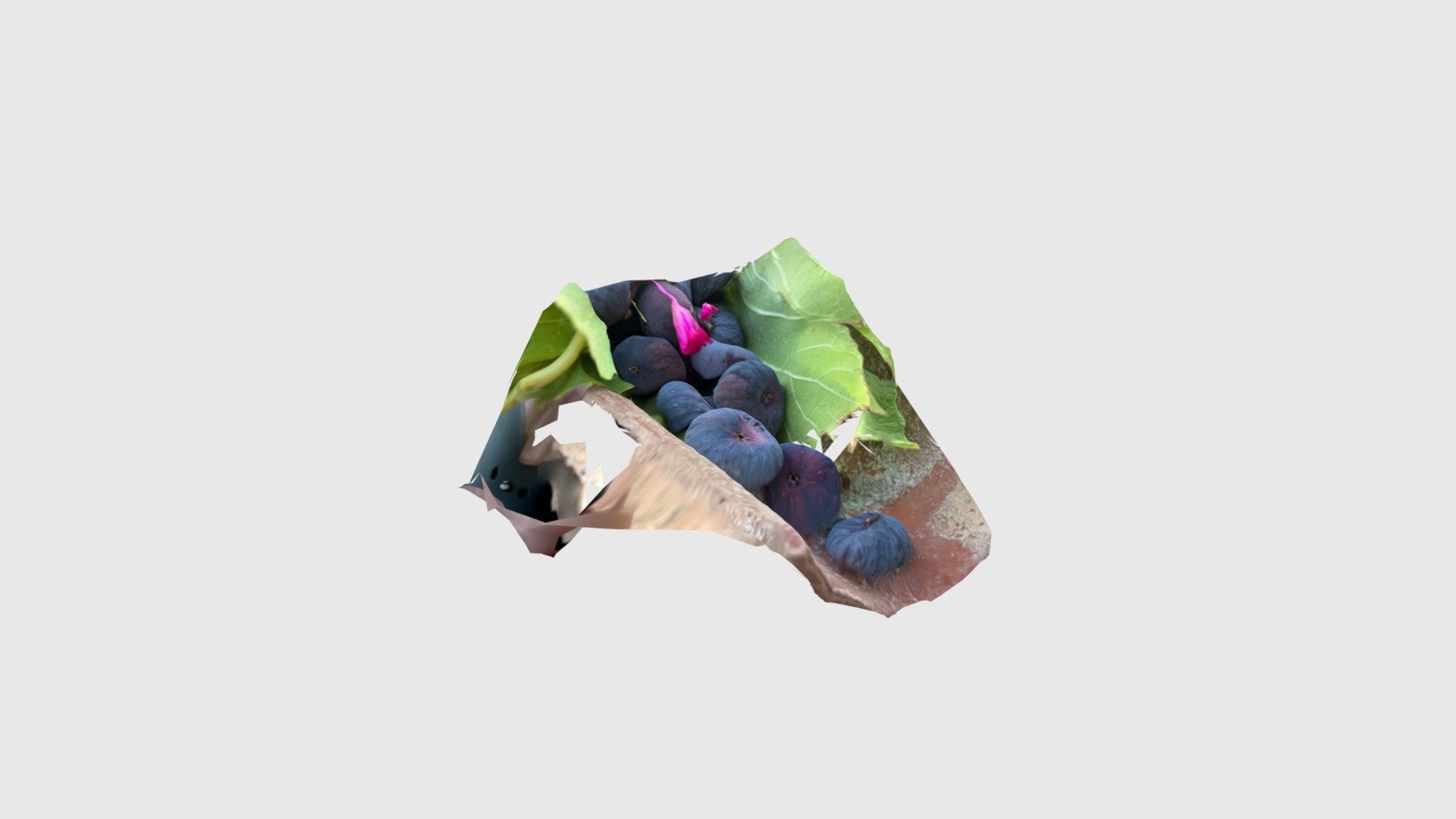 Figs - Download Free 3D model by cudcud [4386686] - Sketchfab