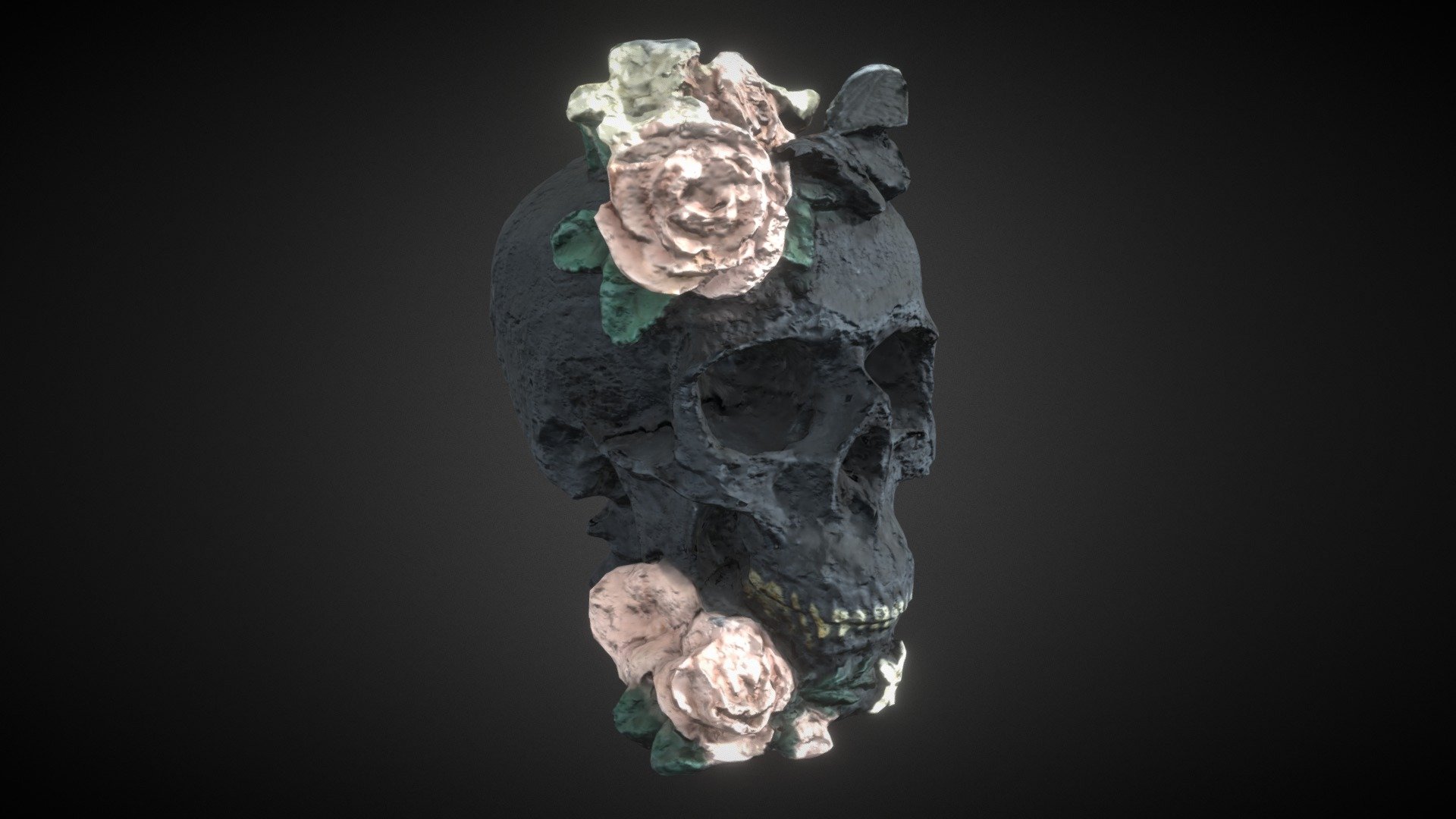 Flower Skull | Photogrammetry - Download Free 3D model by nerdygaytor [4387d50] - Sketchfab