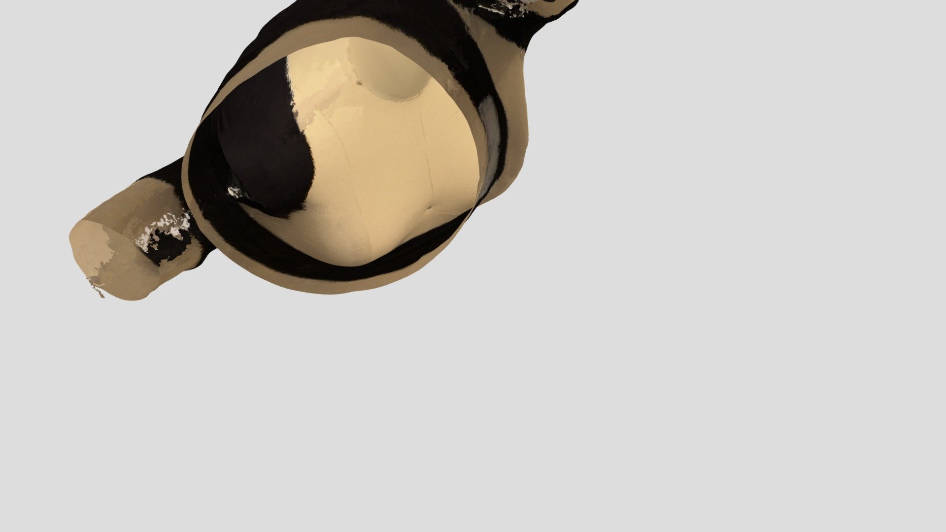 Posie - Download Free 3D model by Suzan (@szollar) [4392448] - Sketchfab