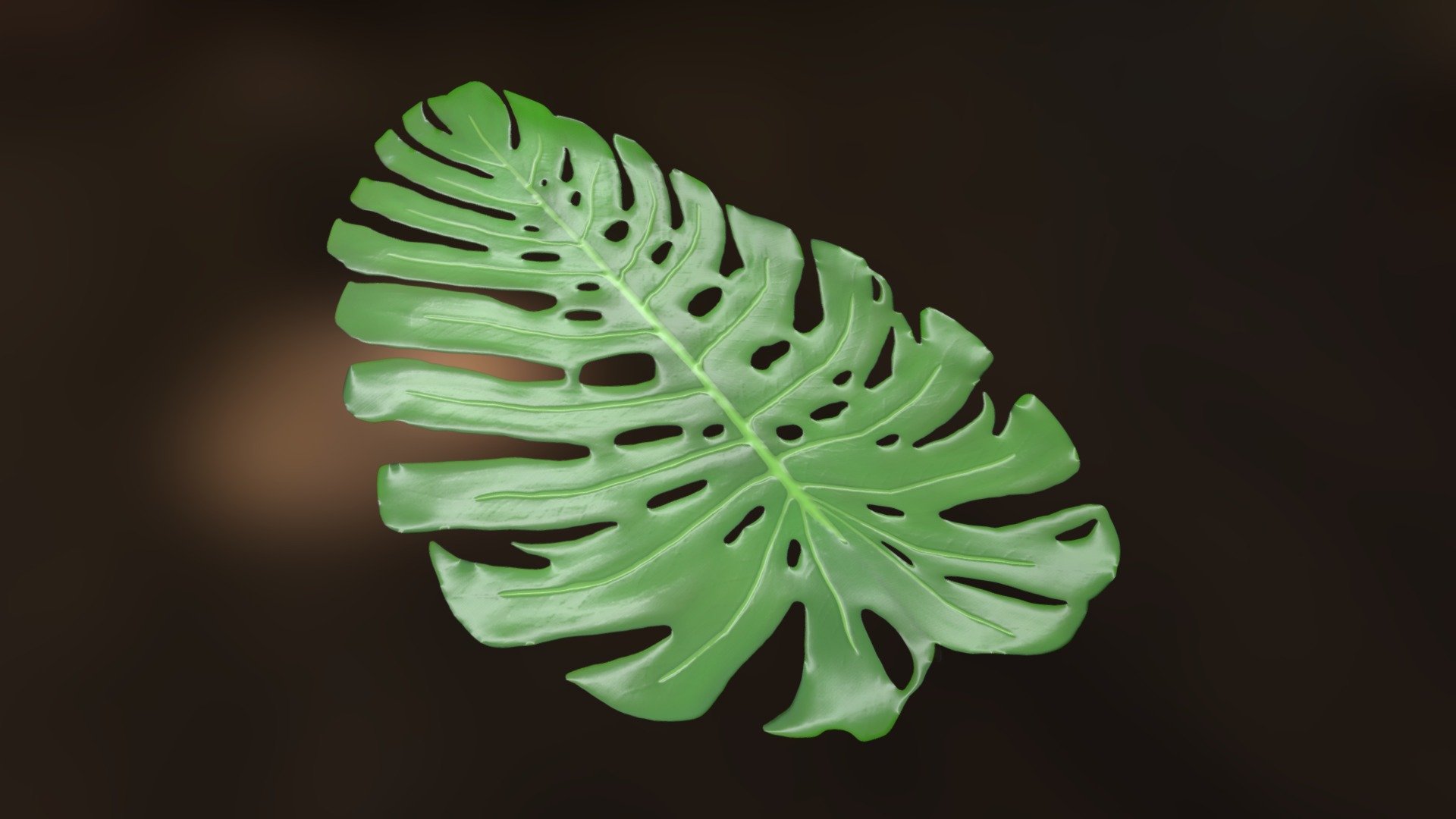 Monstera Leaf - 3D model by iLoveYourFace [43931b1] - Sketchfab