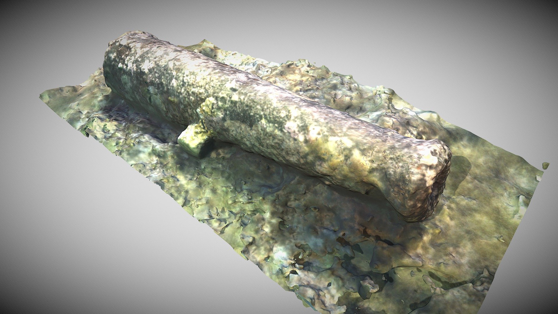 British Blomefield cannon, Dutch Bonaire 2023 - Download Free 3D model ...