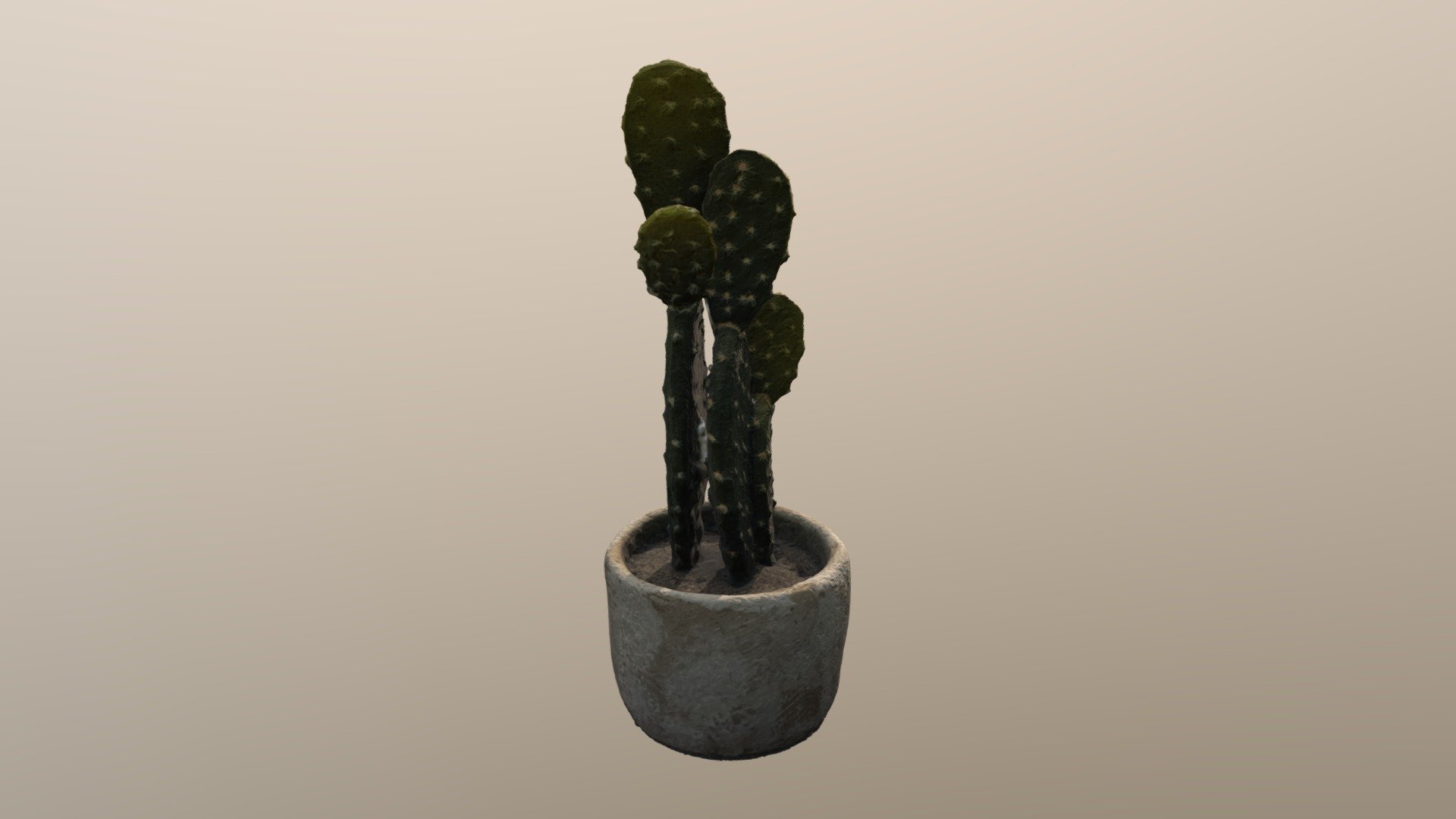Cactus - 3D model by DigitalScouting [4397bf2] - Sketchfab