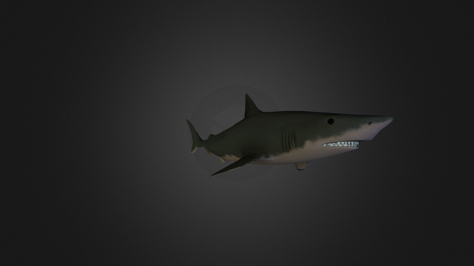 Sharkie - Subdivided - 3D model by Boothand [43a2ce4] - Sketchfab
