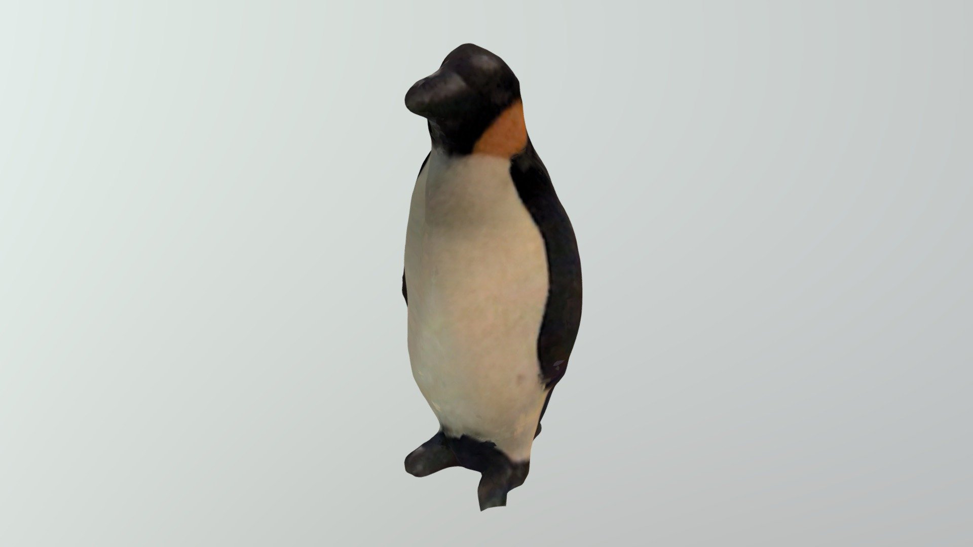 Penguin - 3D model by Pixeldrops [43af93f] - Sketchfab