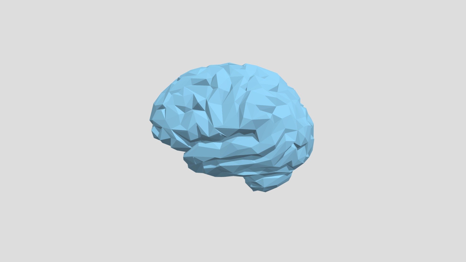 Brain - Download Free 3D model by neutralize (say thanks) (@neutralize ...