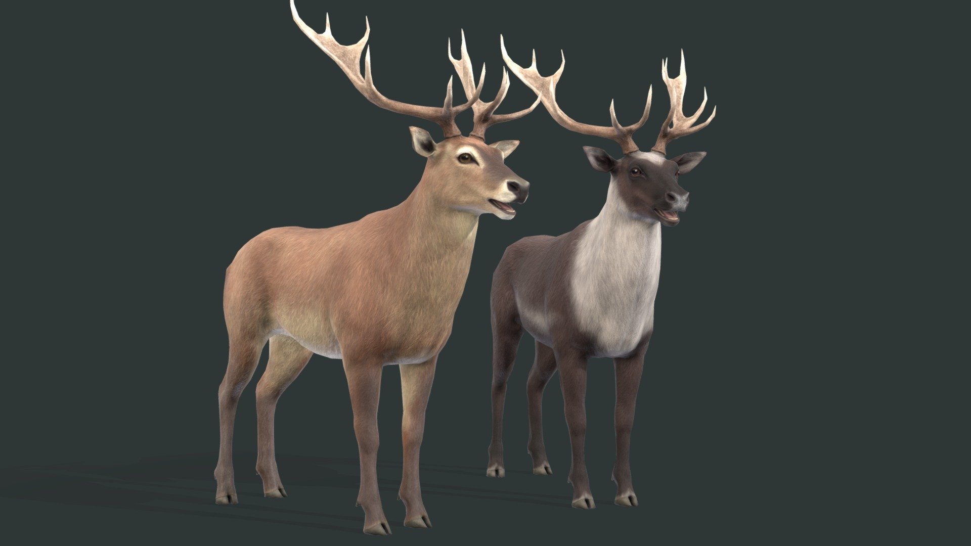 Deer texture test - 3D model by RedDeer (@billl90) [43b3bdb] - Sketchfab