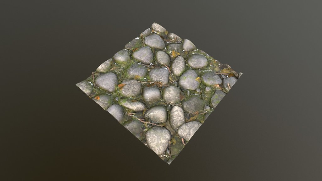 Rocky Forest Floor Texture - Download Free 3D model by morepolys ...