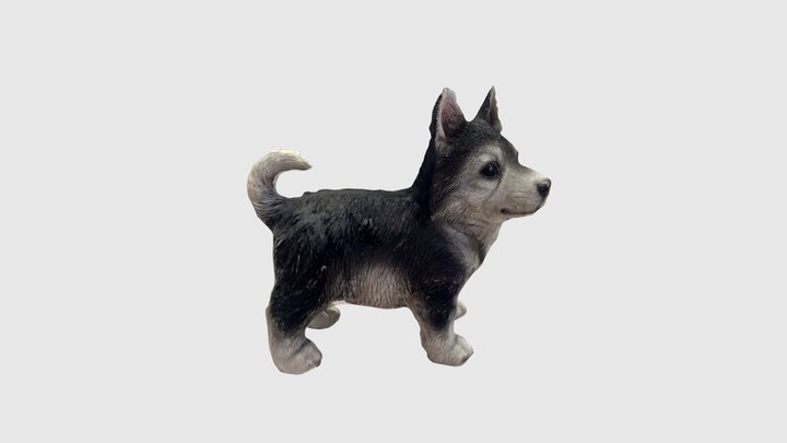 Husky 3D models - Sketchfab